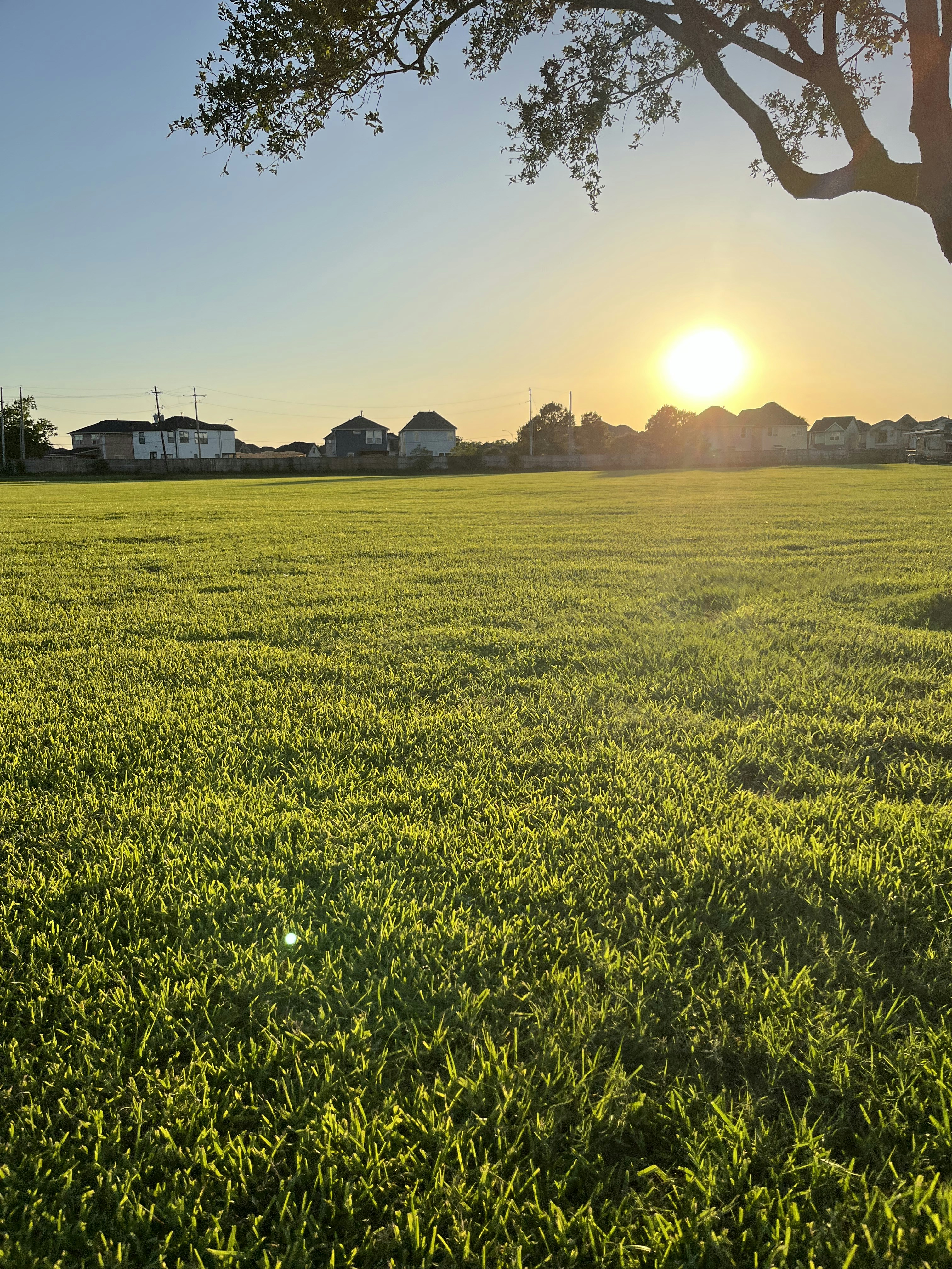 a field of grass with buildings in the background