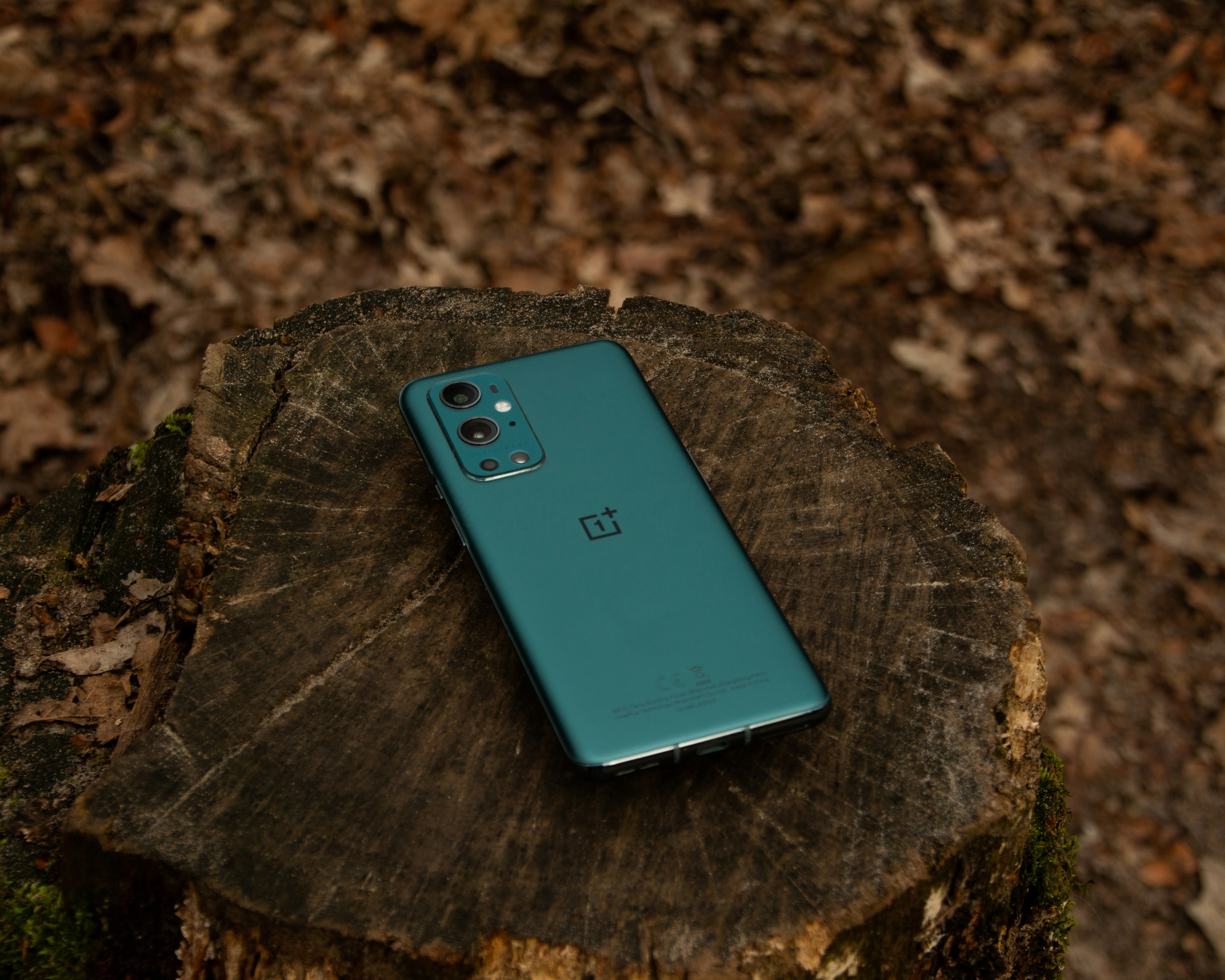 A cell phone on a tree stump photo – Free Phone Image on Unsplash