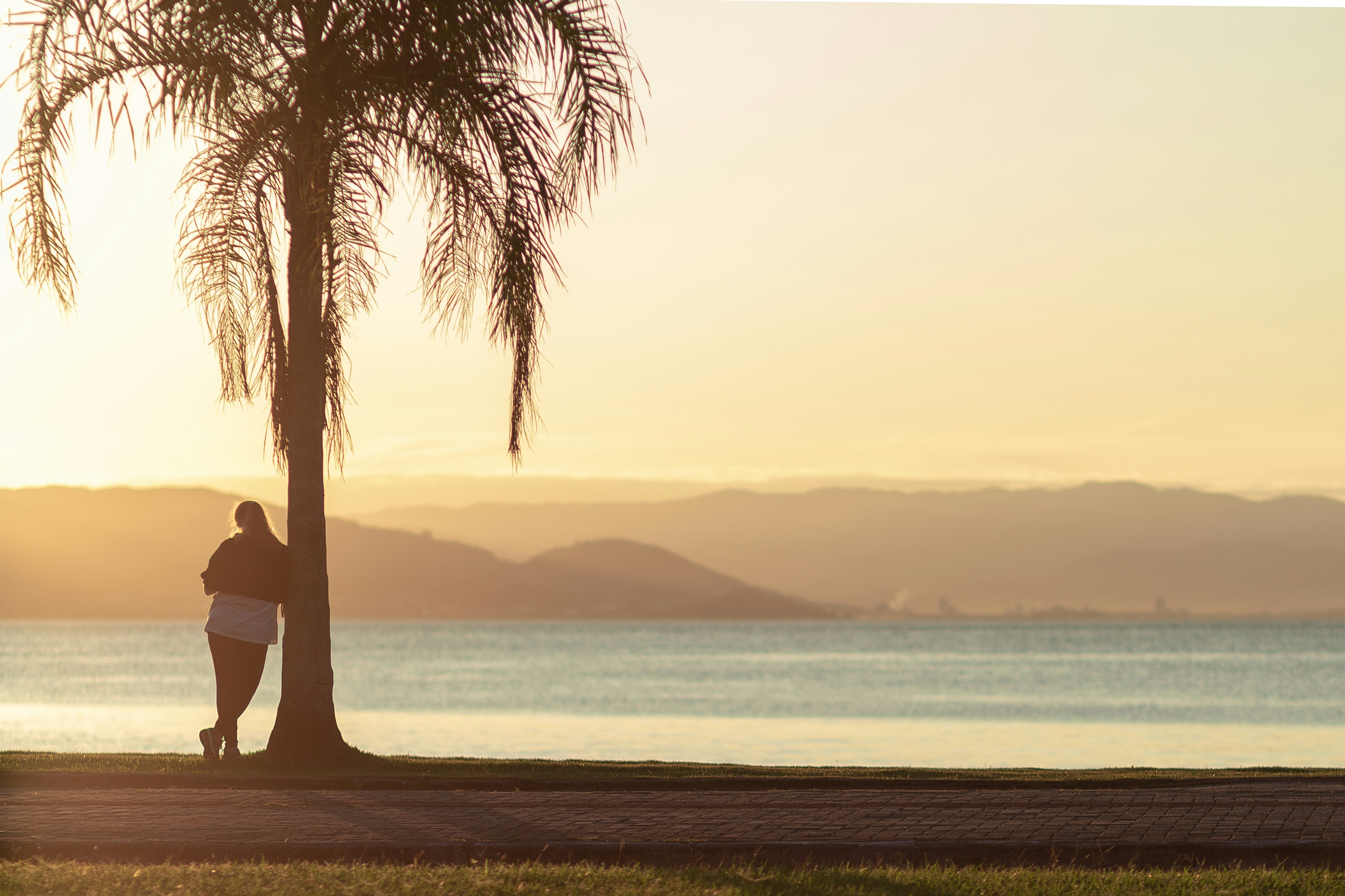 Silhouette of a person leaning on a palm tree by the calm sea at sunset.