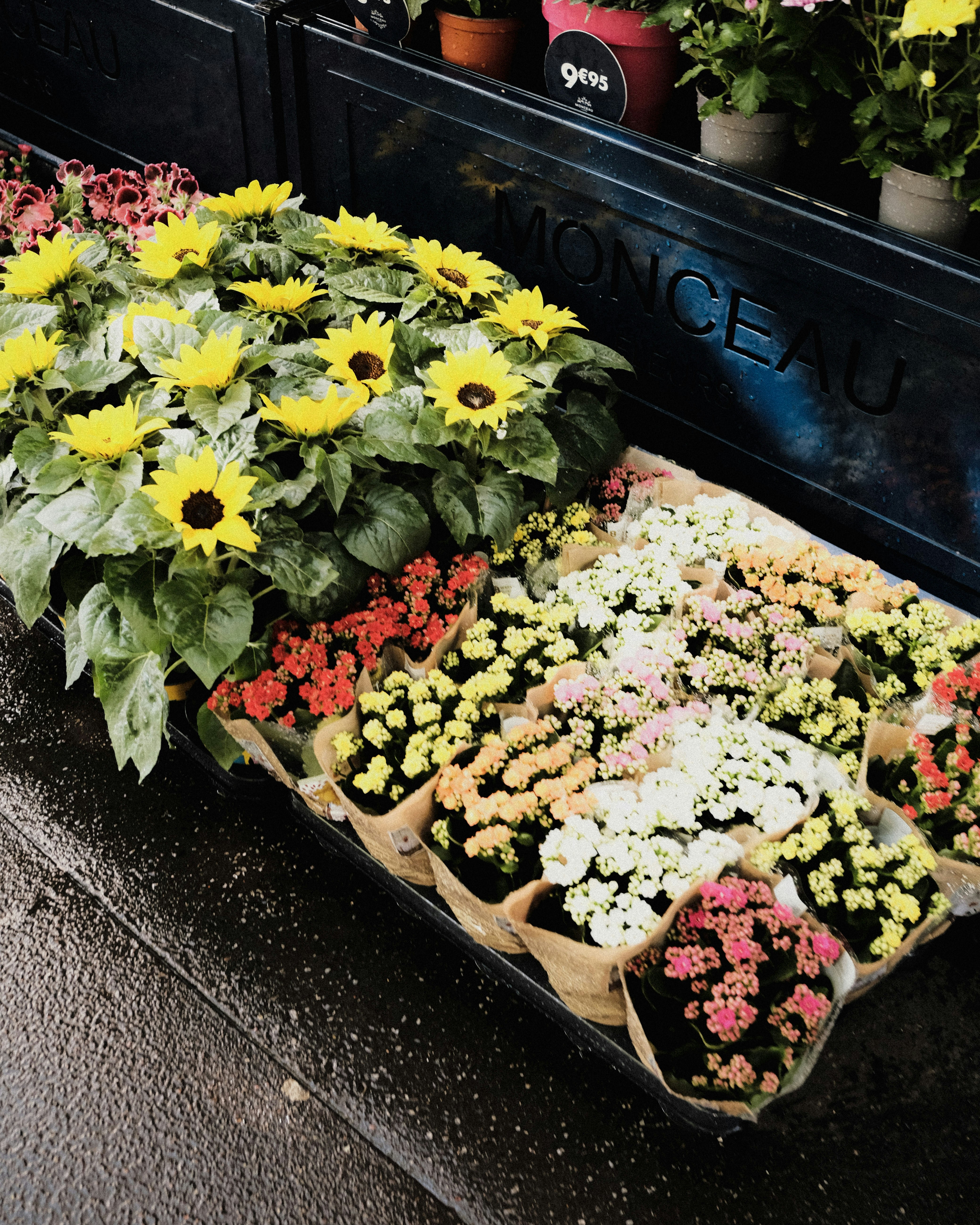 a bouquet of flowers