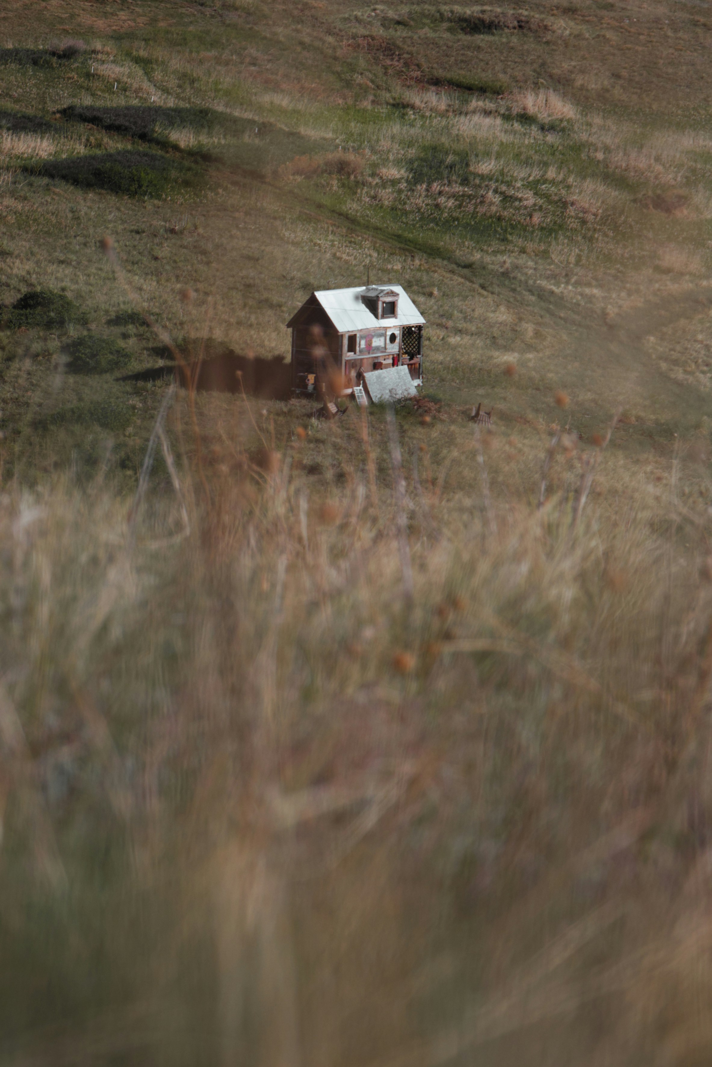 Photo by Luke Peterson with Canon EOS R