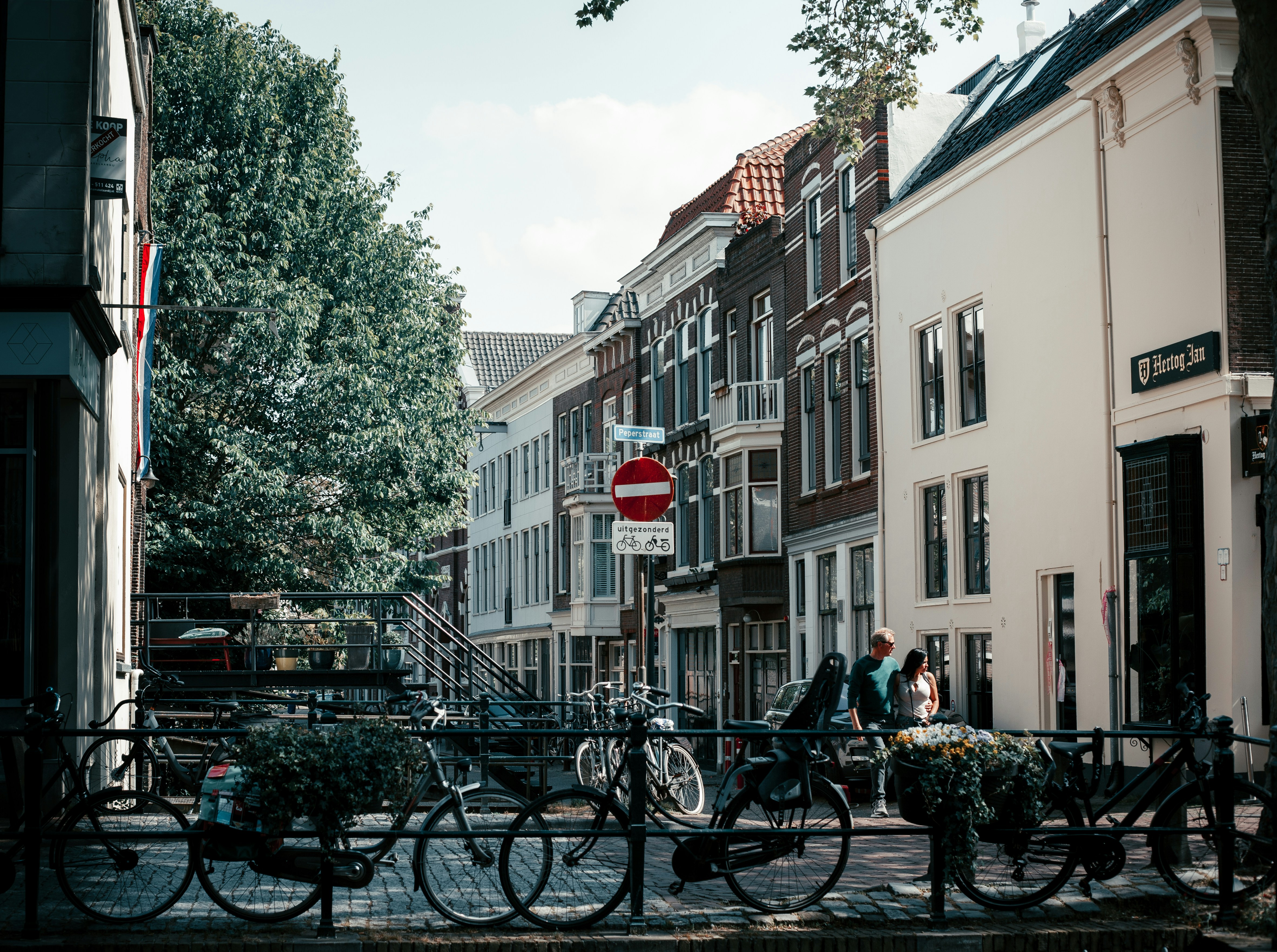 Bicycles rest against a canal bridge in Gouda, with charming townhouses and lush trees creating a tranquil urban scene.