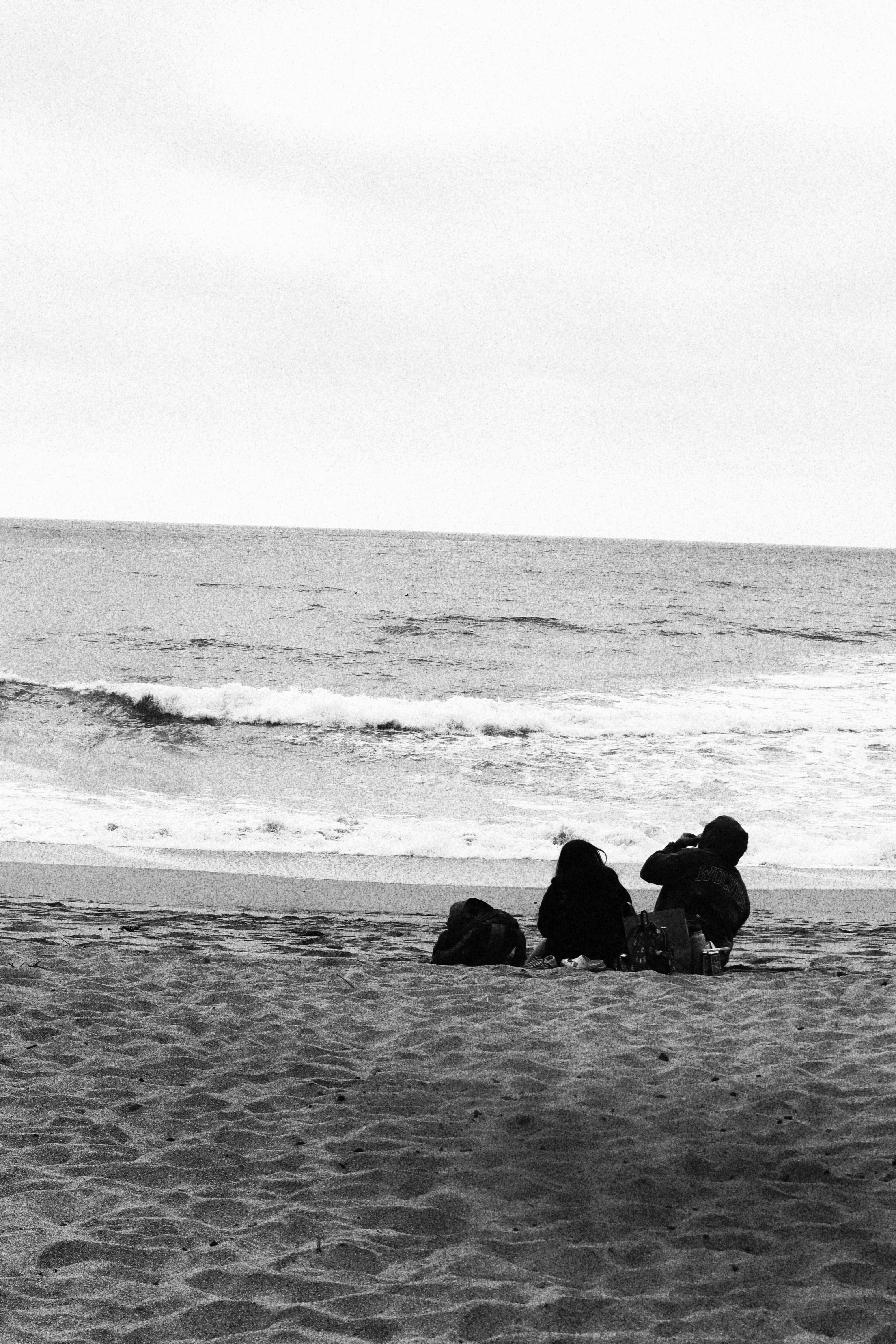 Whispers of the Shoreline