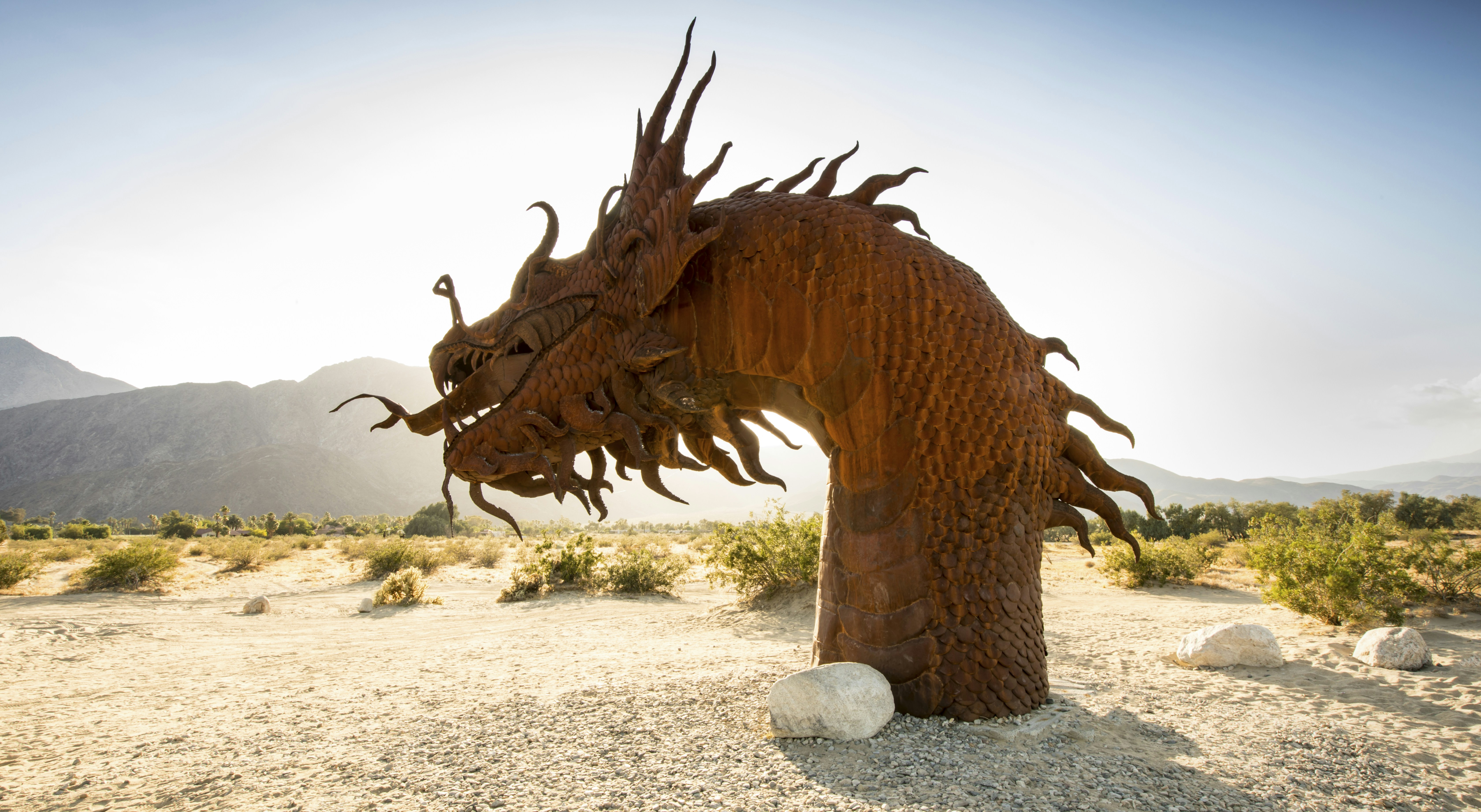 A tree stump with a group of animals on it photo – Free Brown Image on ...