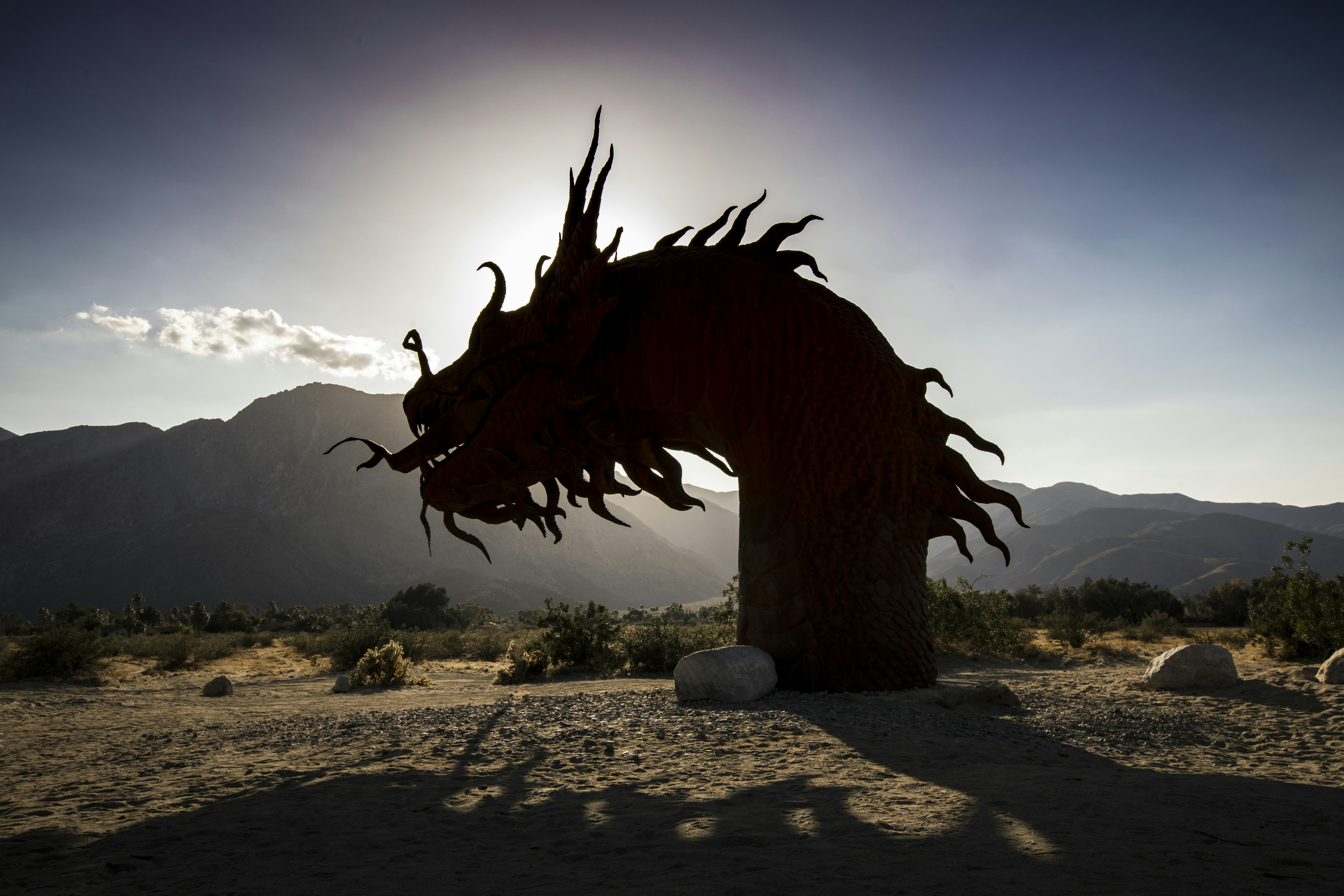 A large tree stump in a desert photo – Free Dragon Image on Unsplash