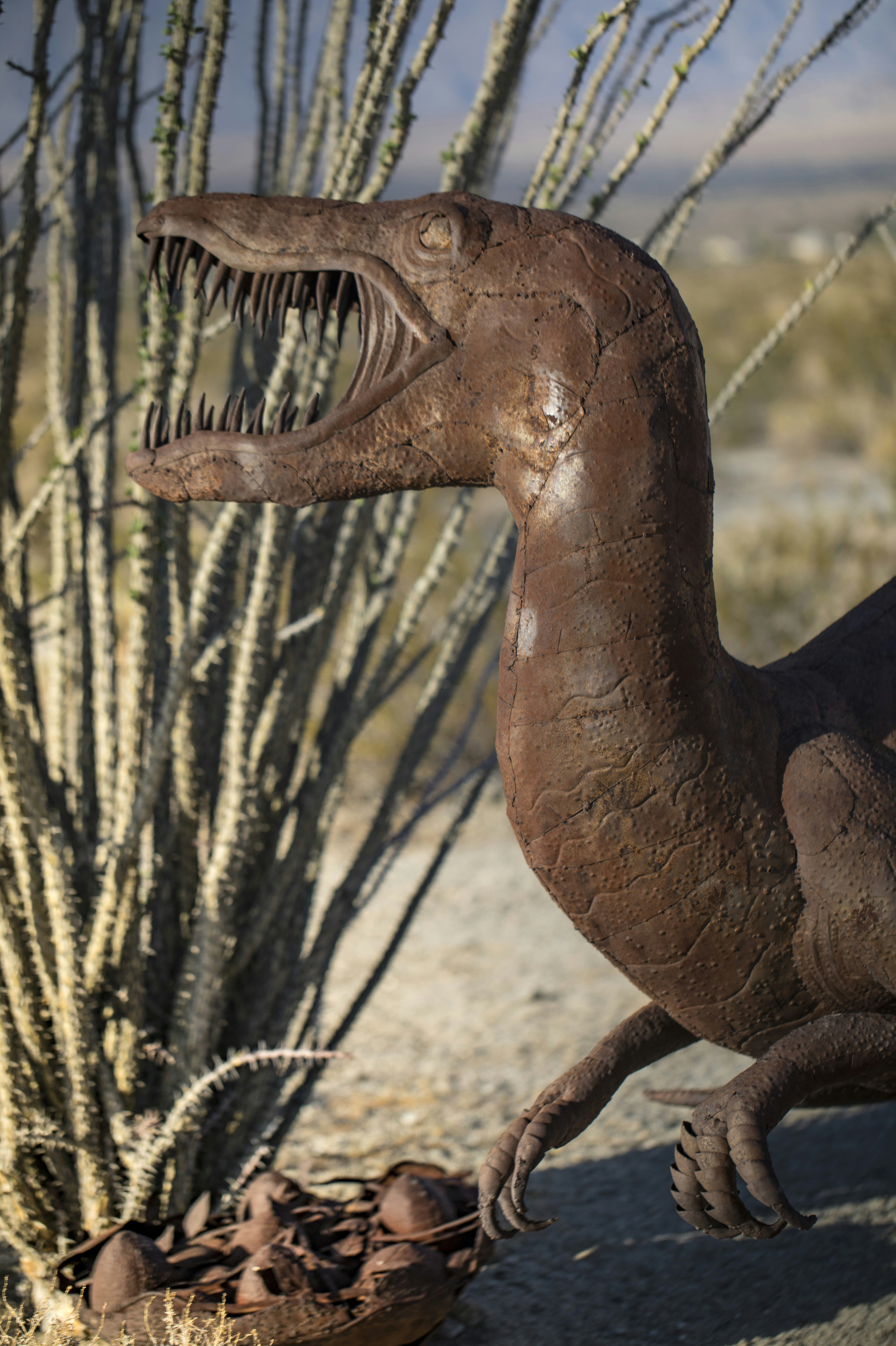Desert Dragon: A Jurassic Sentinel Roaring at Dried Spines