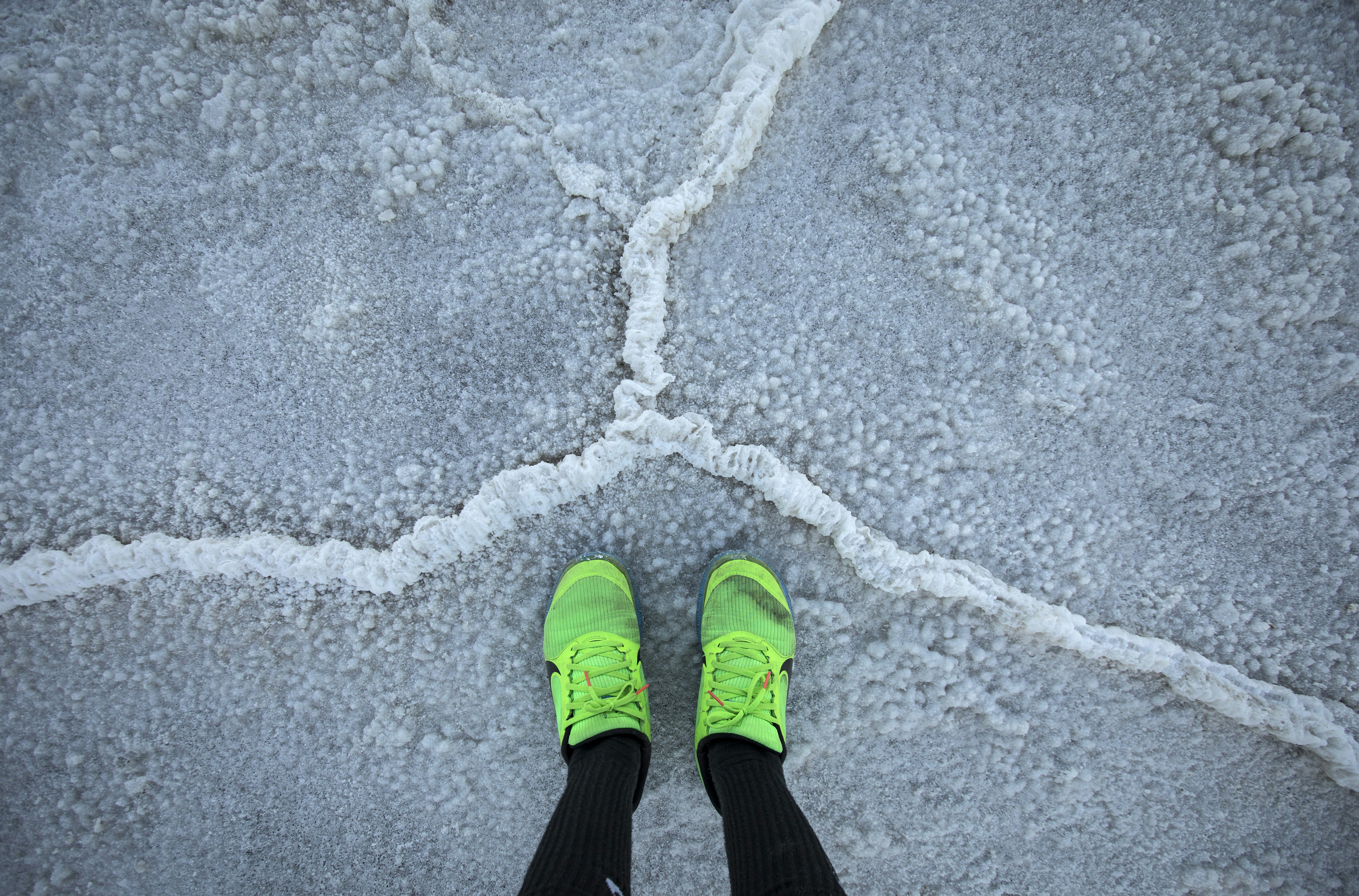 Neon-green Sneakers Ground the Frozen Mosaic