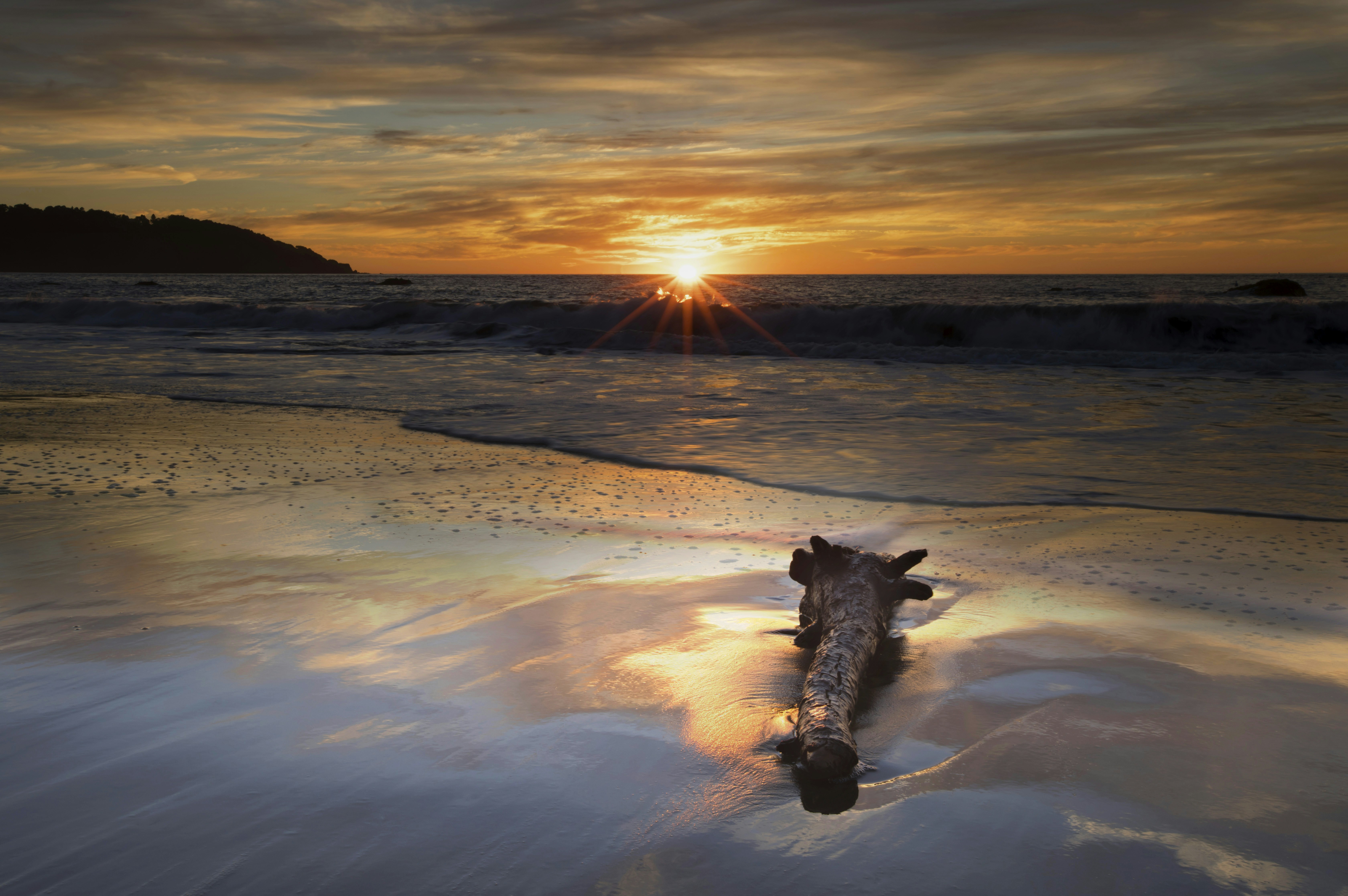 Sunlit Driftwood at Dusk: A Quiet Shore Marked by a Fallen Log