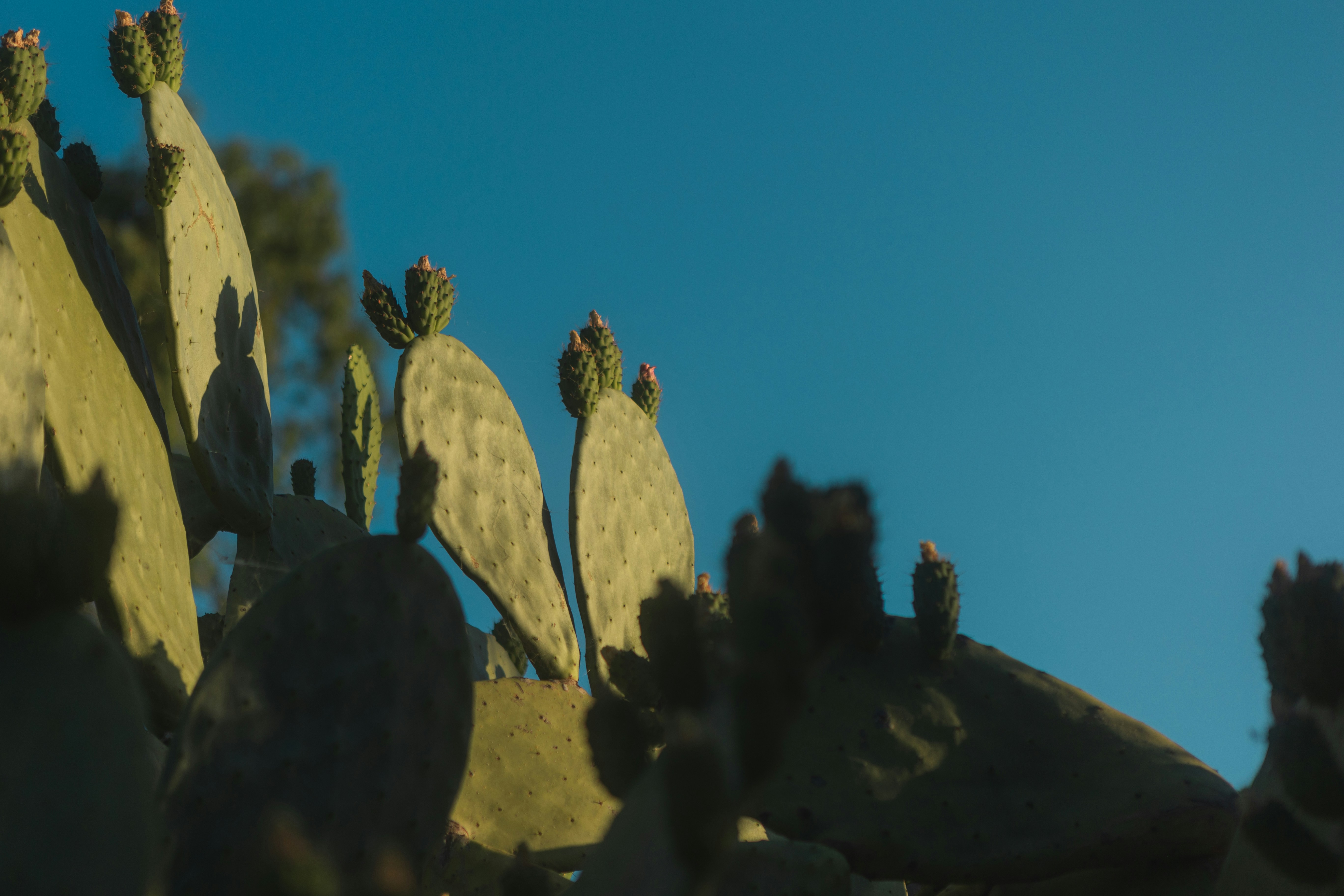 Photo by Alex Gruber with Canon EOS R6