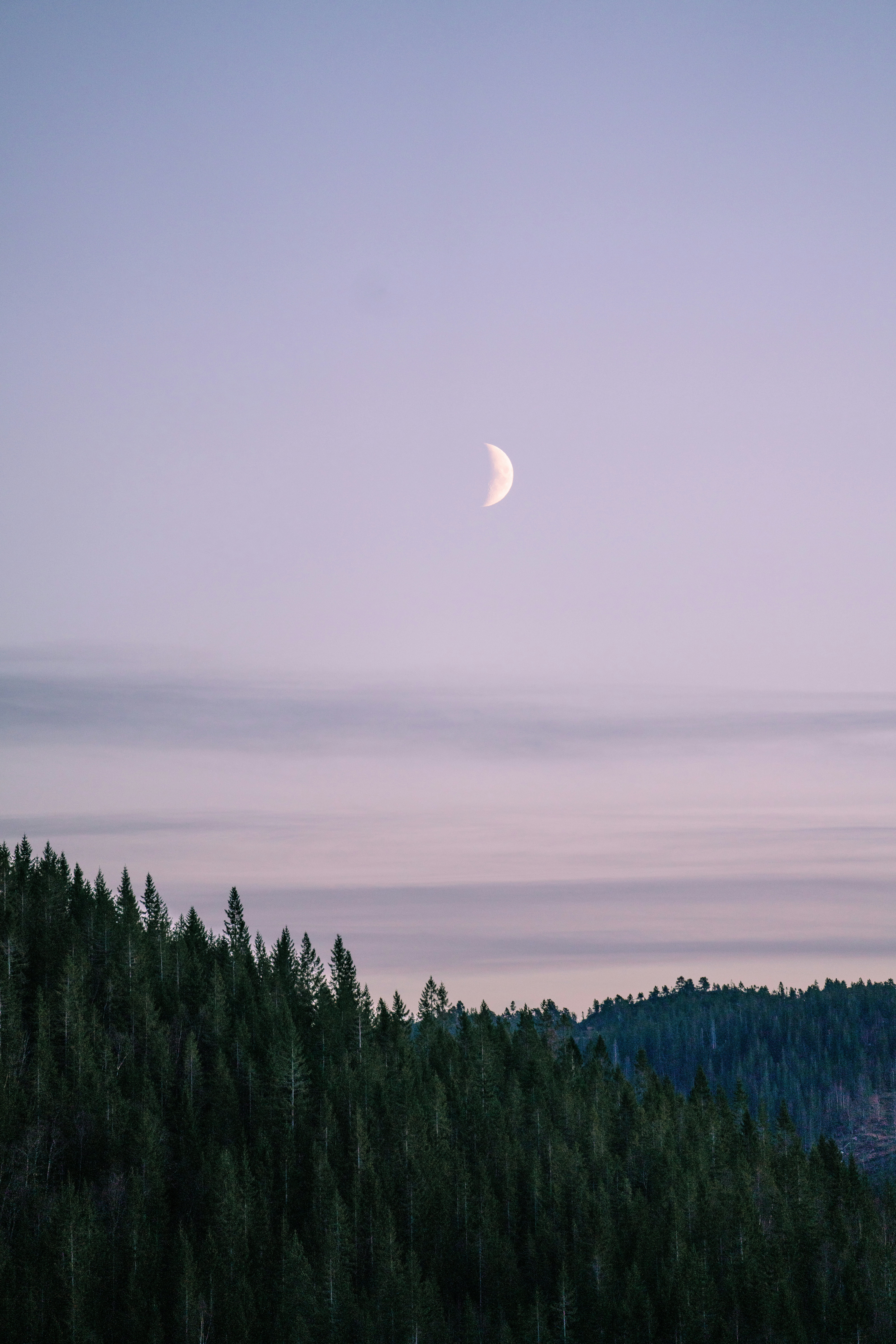 Twilight.