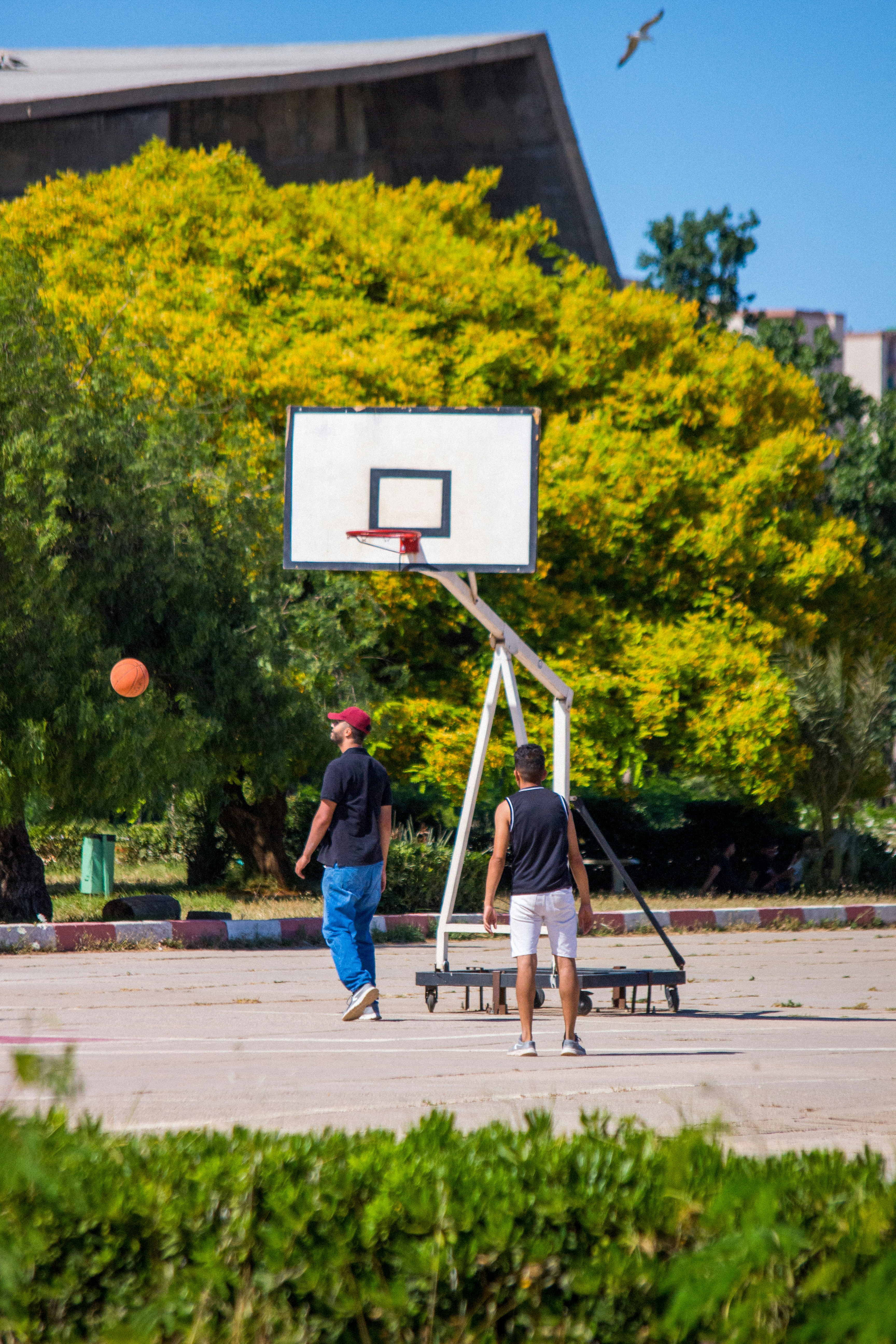 Two friends on a sunlit outdoor basketball court with a drifting ball
