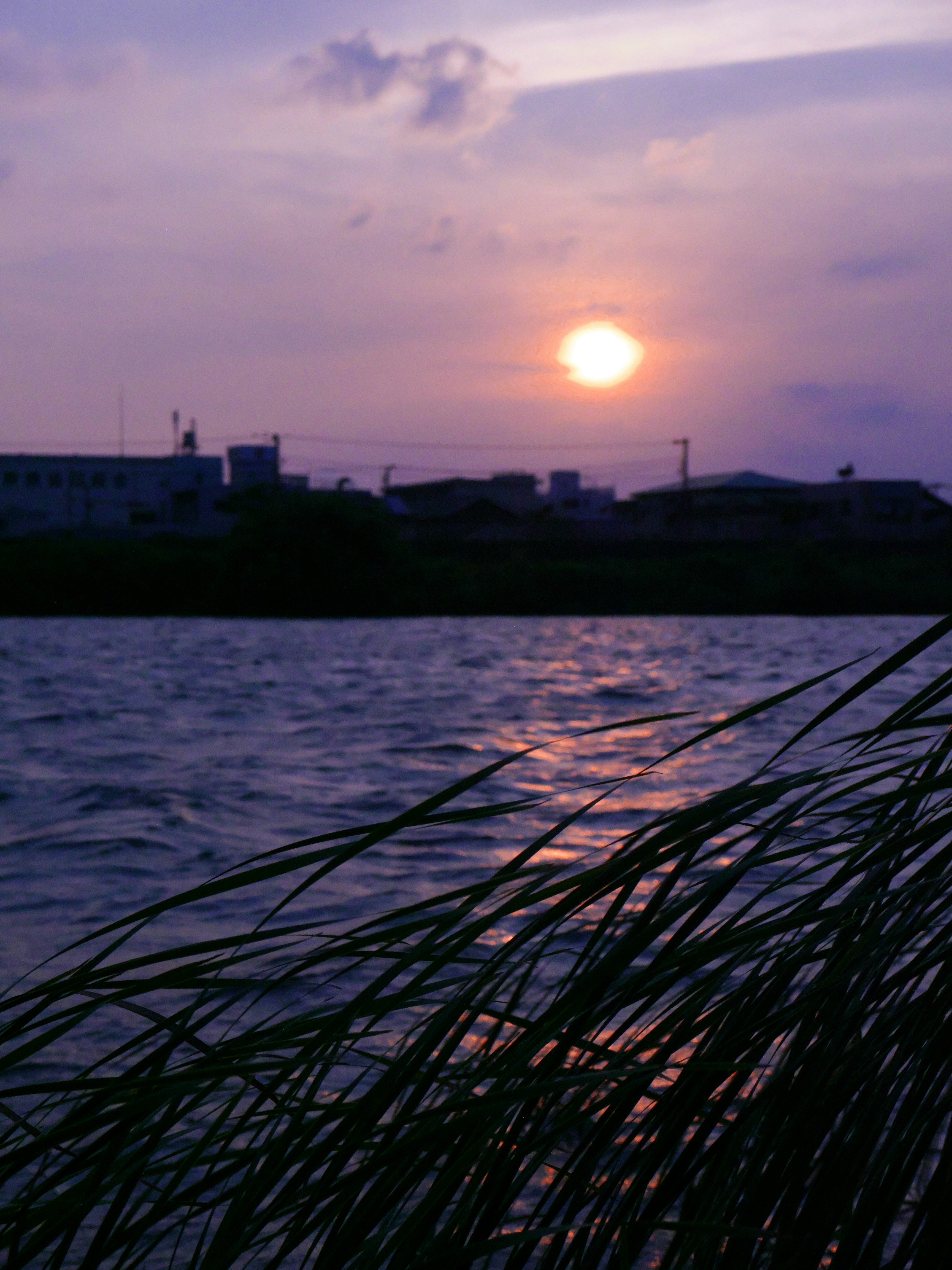 Silhouetted grass sways gently in the foreground as a soft purple sunset casts a warm glow over the river. The sun hangs low in the sky, illuminating the tranquil scene.