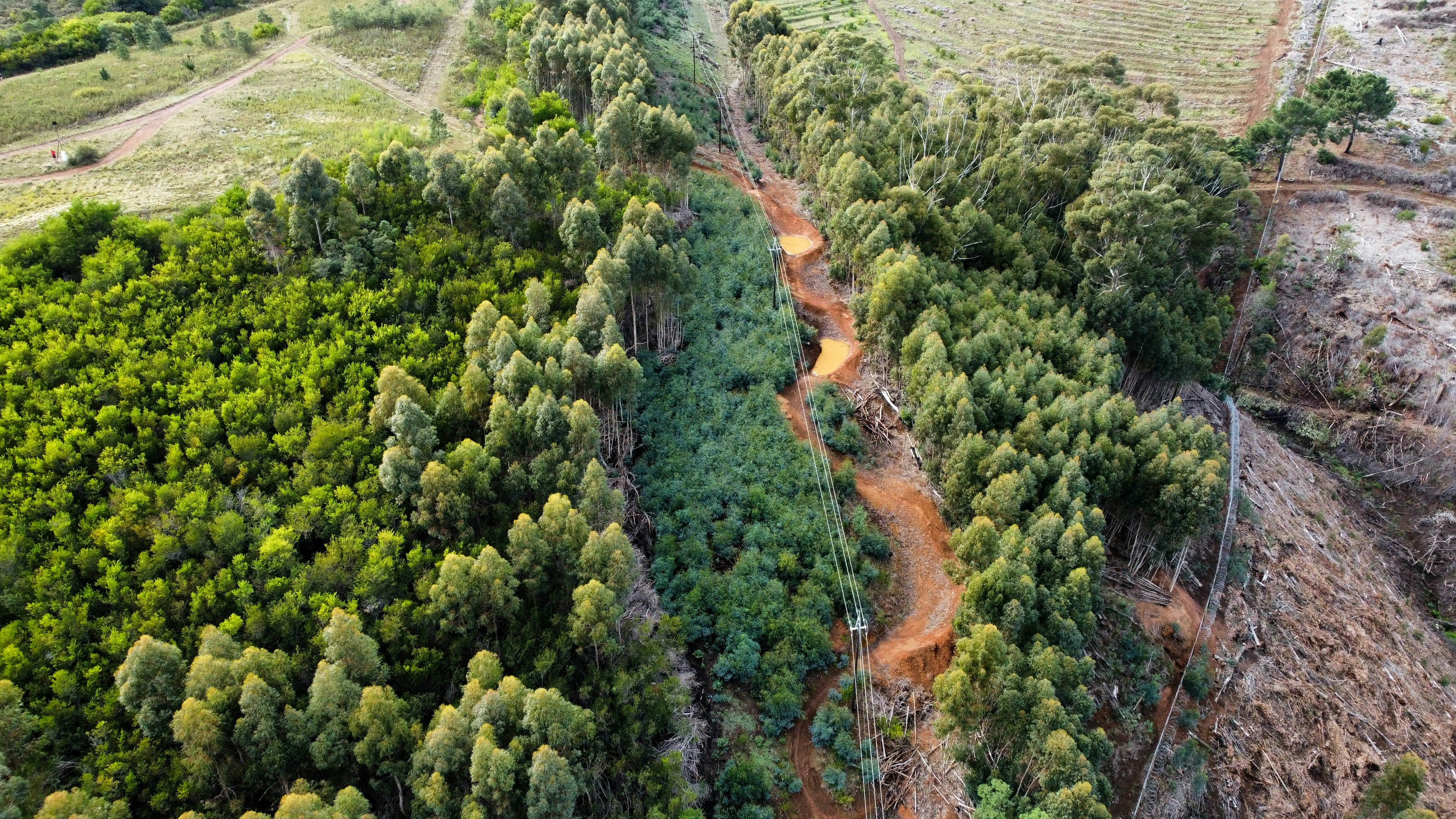 A high angle view of a forest photo – Free Helderberg farm Image on ...
