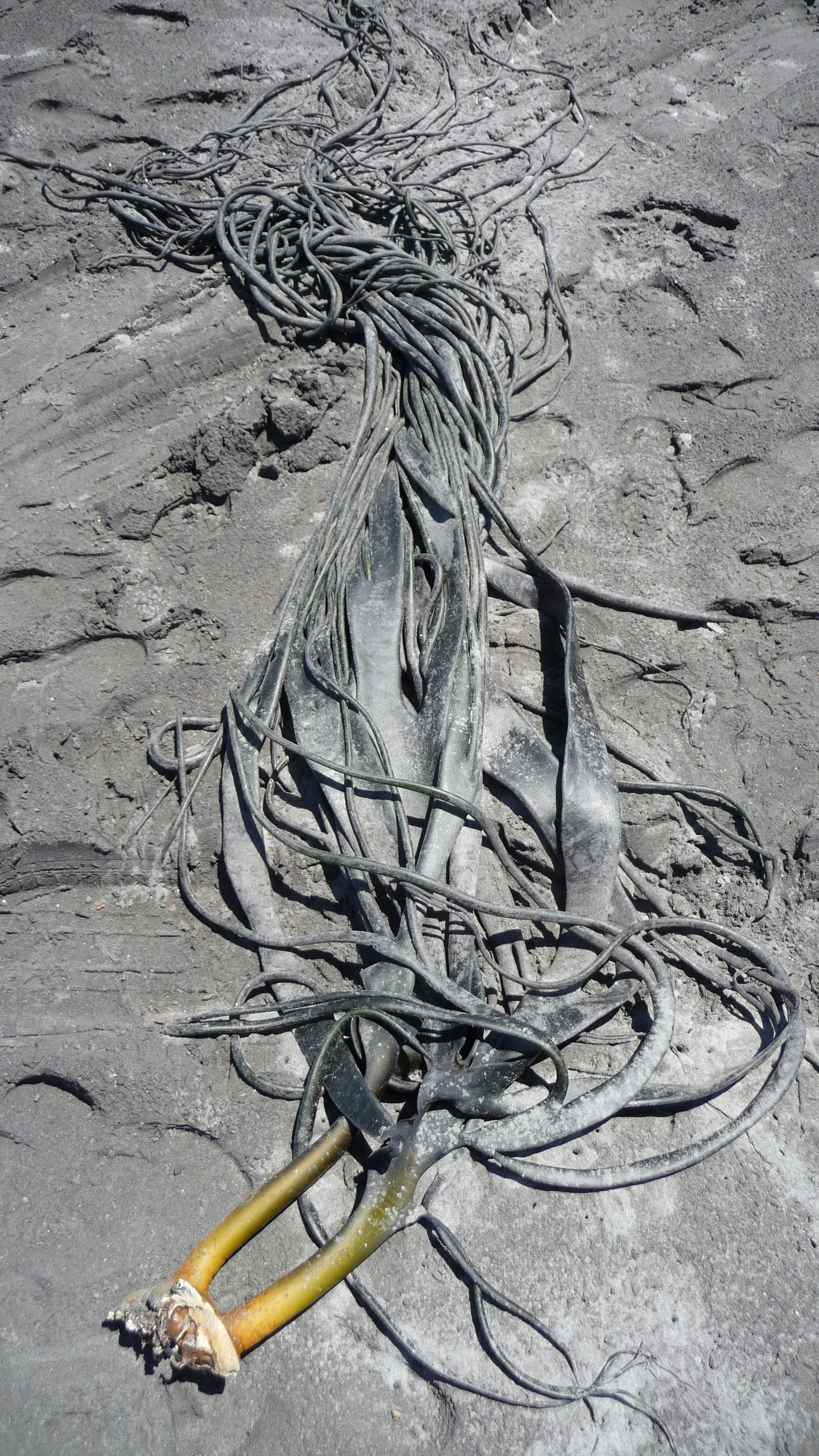 Photo by Ulrich Knoll with Panasonic Lumix TZ5