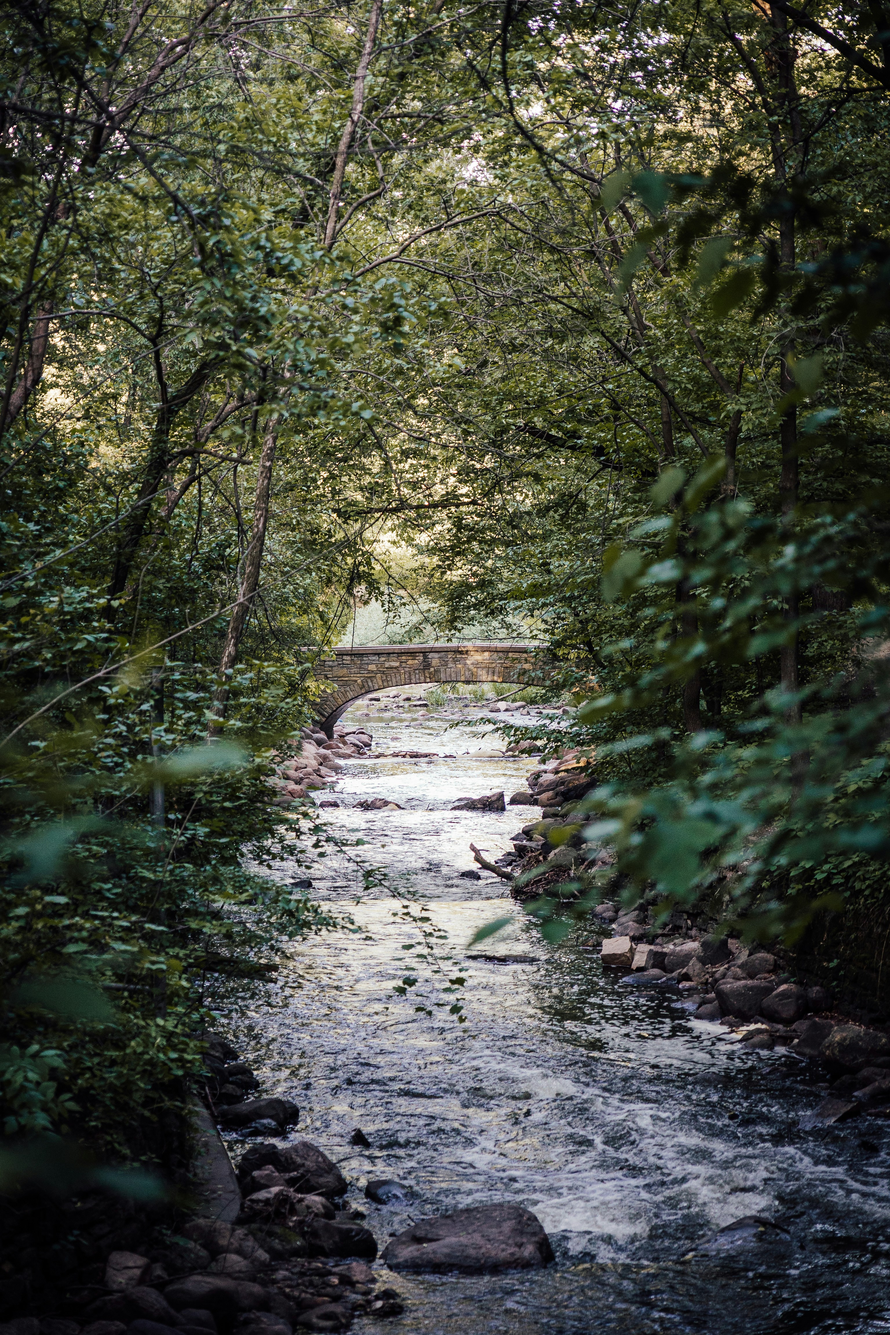 A serene river flows through a lush green forest, with a quaint stone bridge arching gracefully above it.