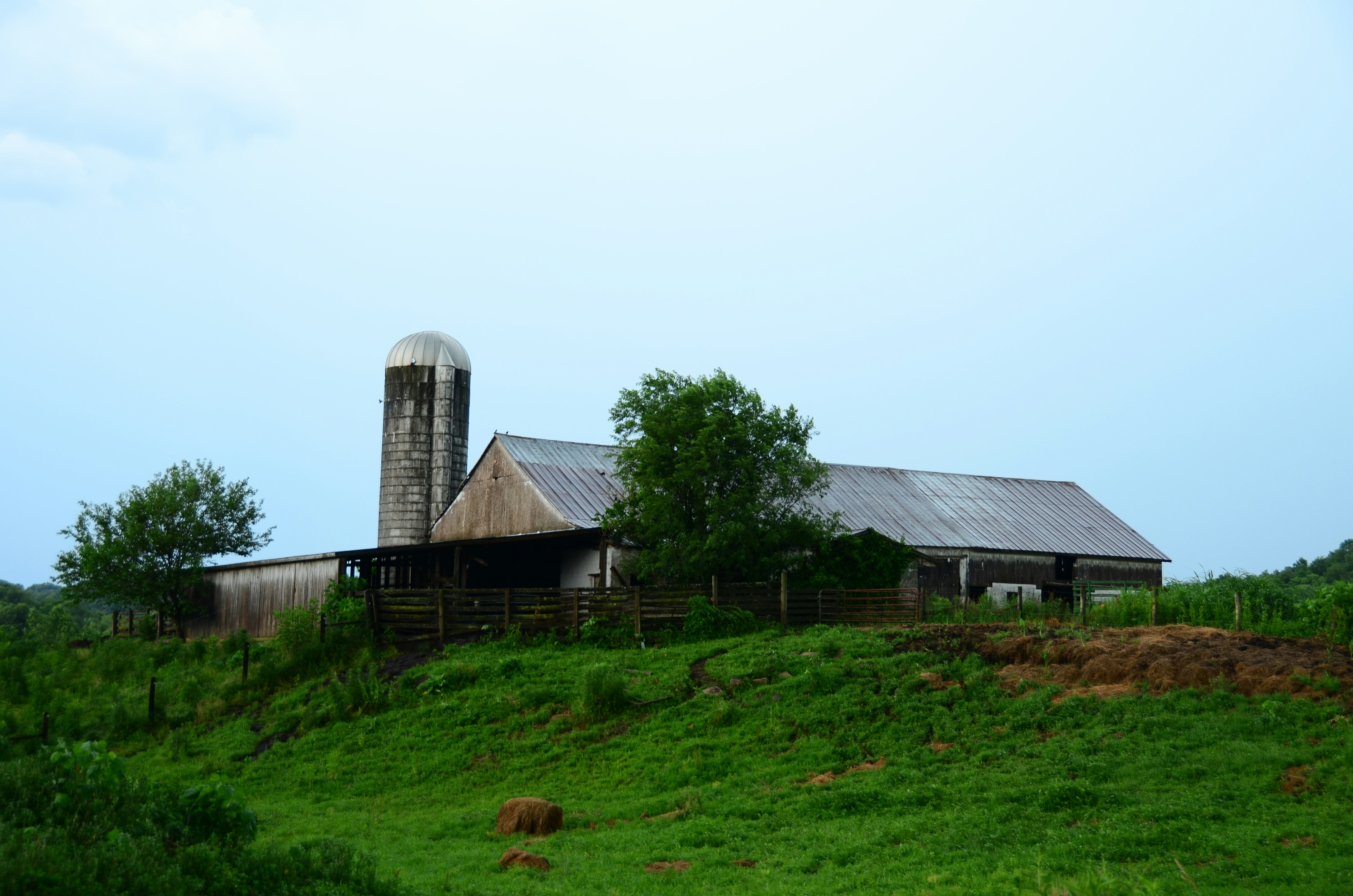 Hilltop Farmstead: Weathered Barn, Silo, and Rolling Green