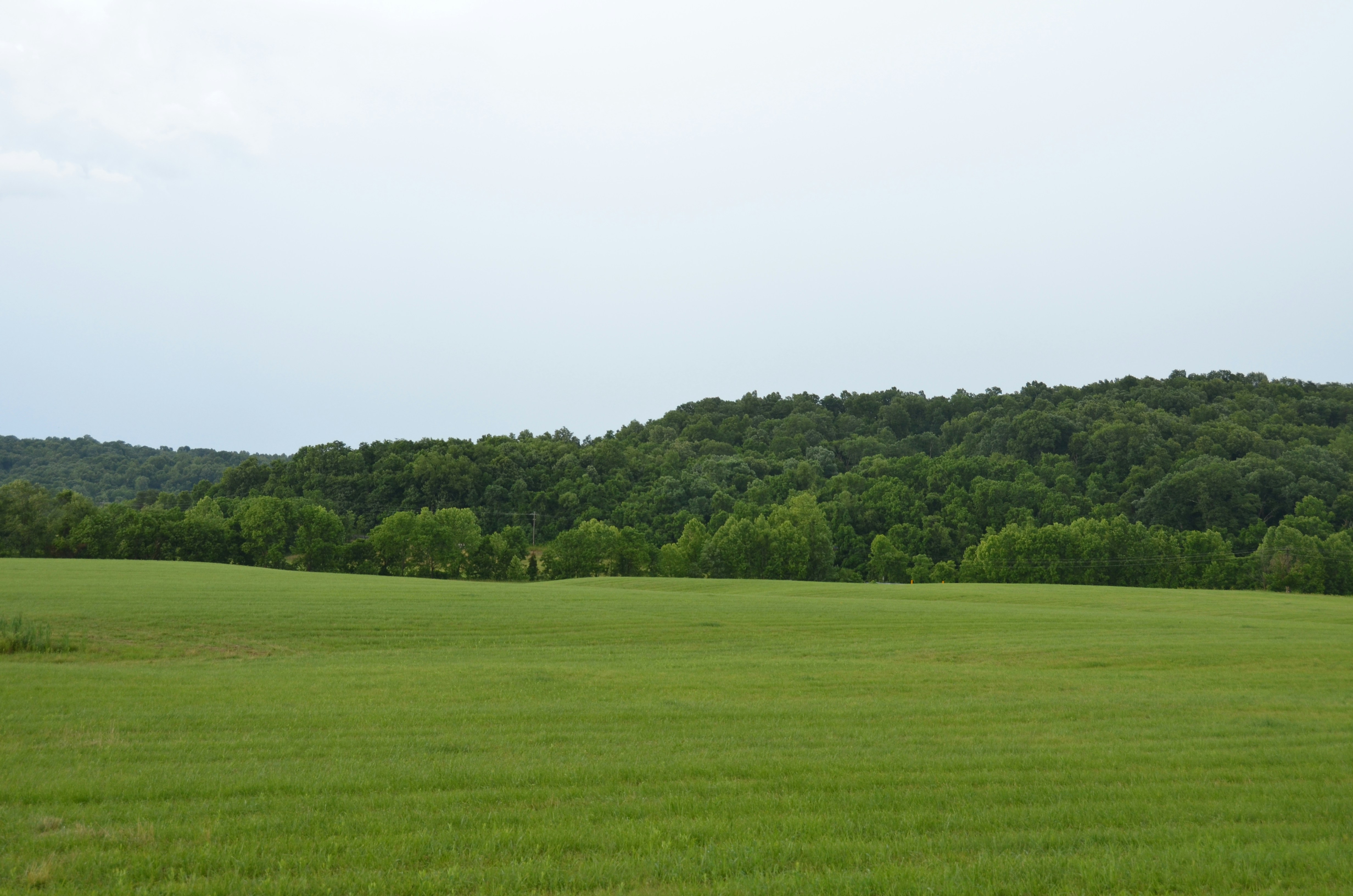 Early Winter Wheat and Hills of Southern Ohio.