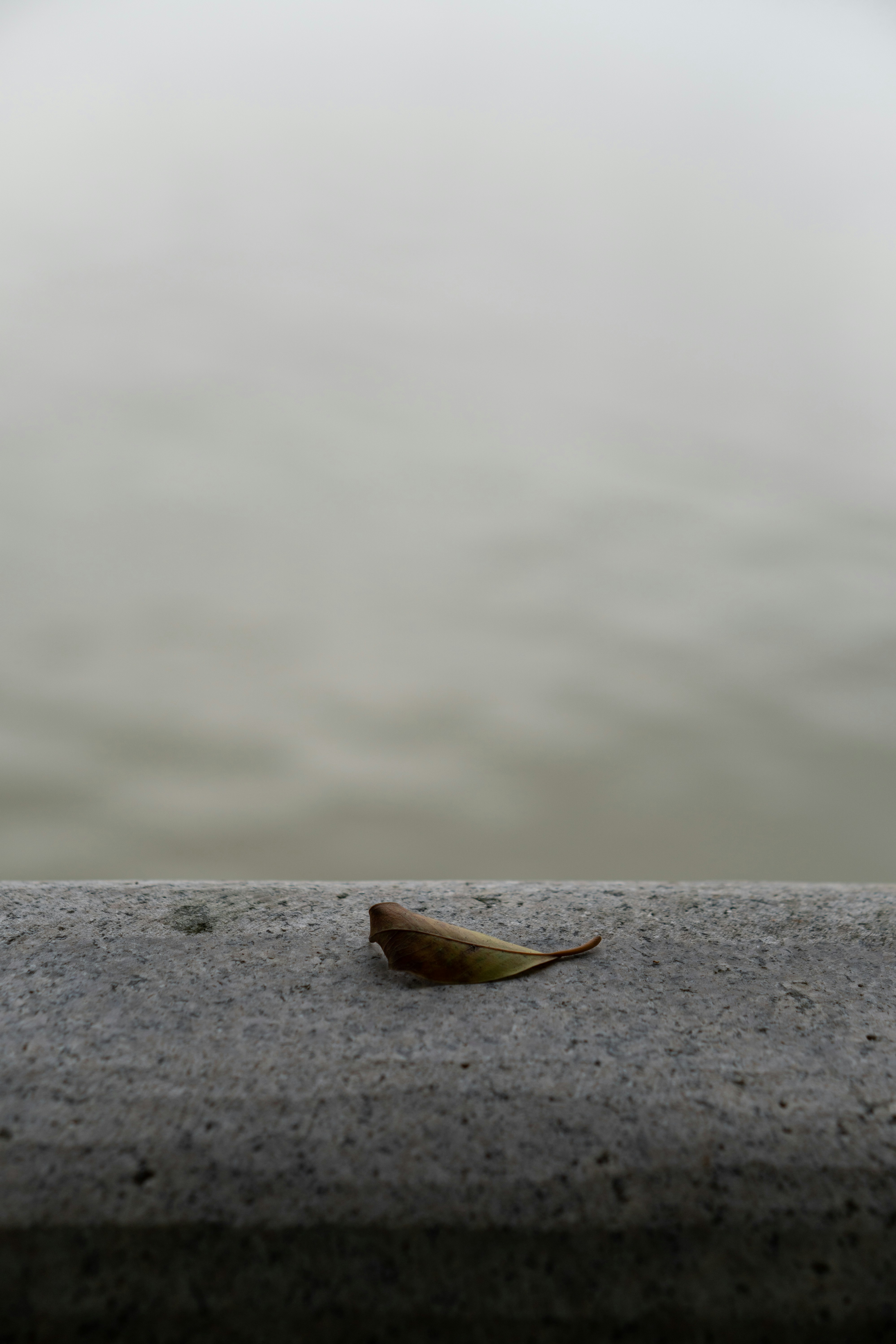 Photo by Shawn Rain with Sony Alpha 6400