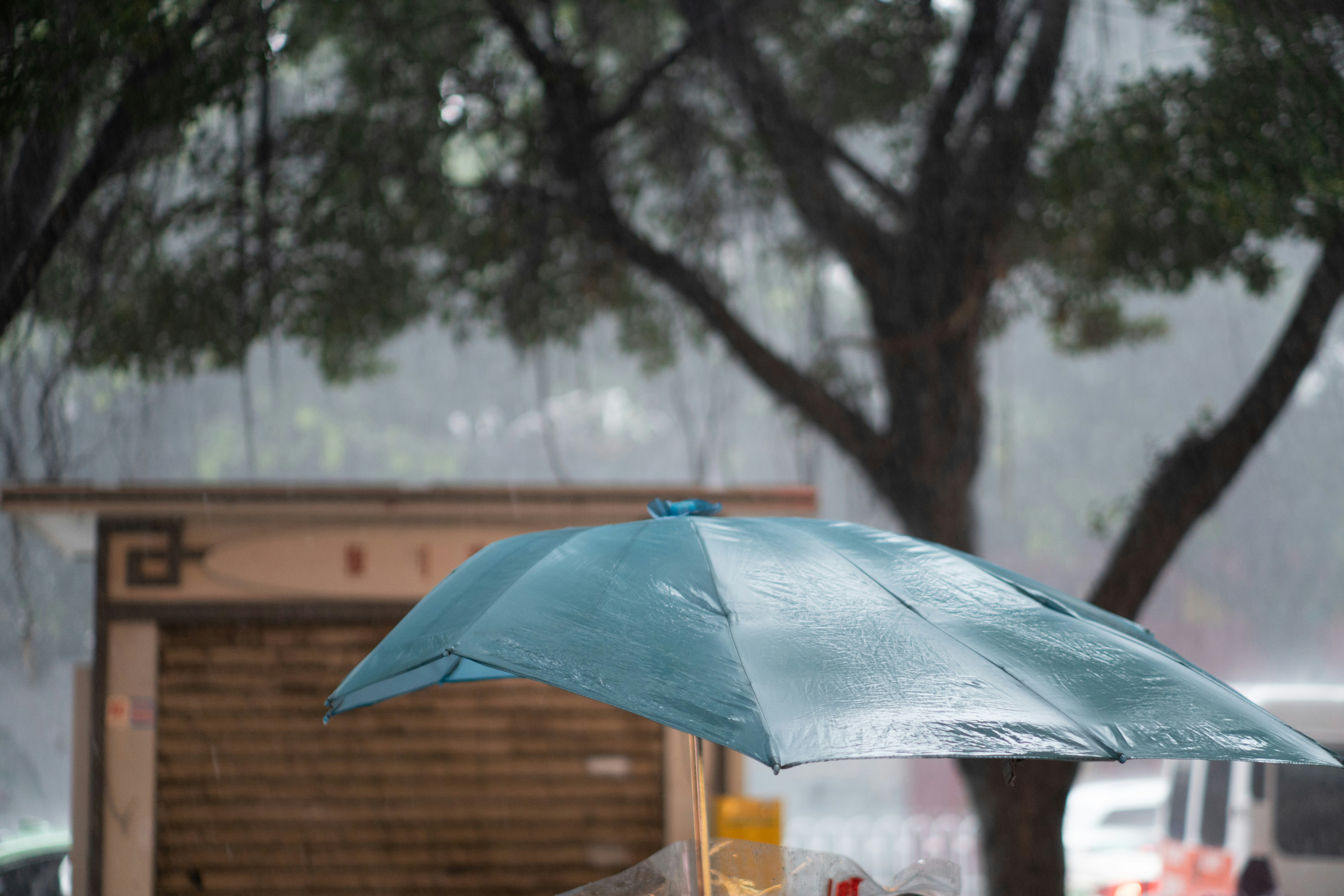 Cobalt Umbrella Anchors a Rainy Urban Moment