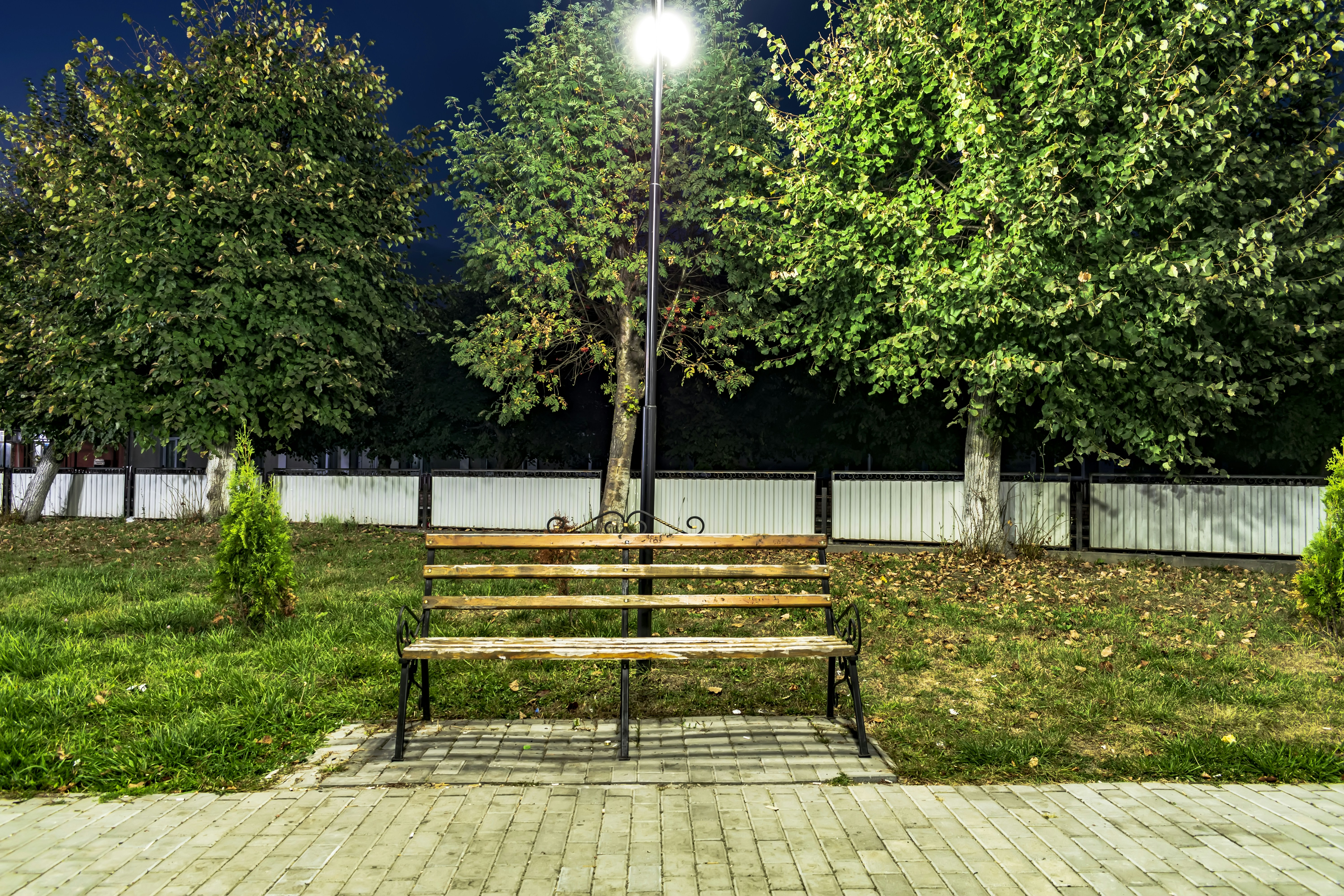 Central Night Lamp Illuminates a Quiet Park Bench