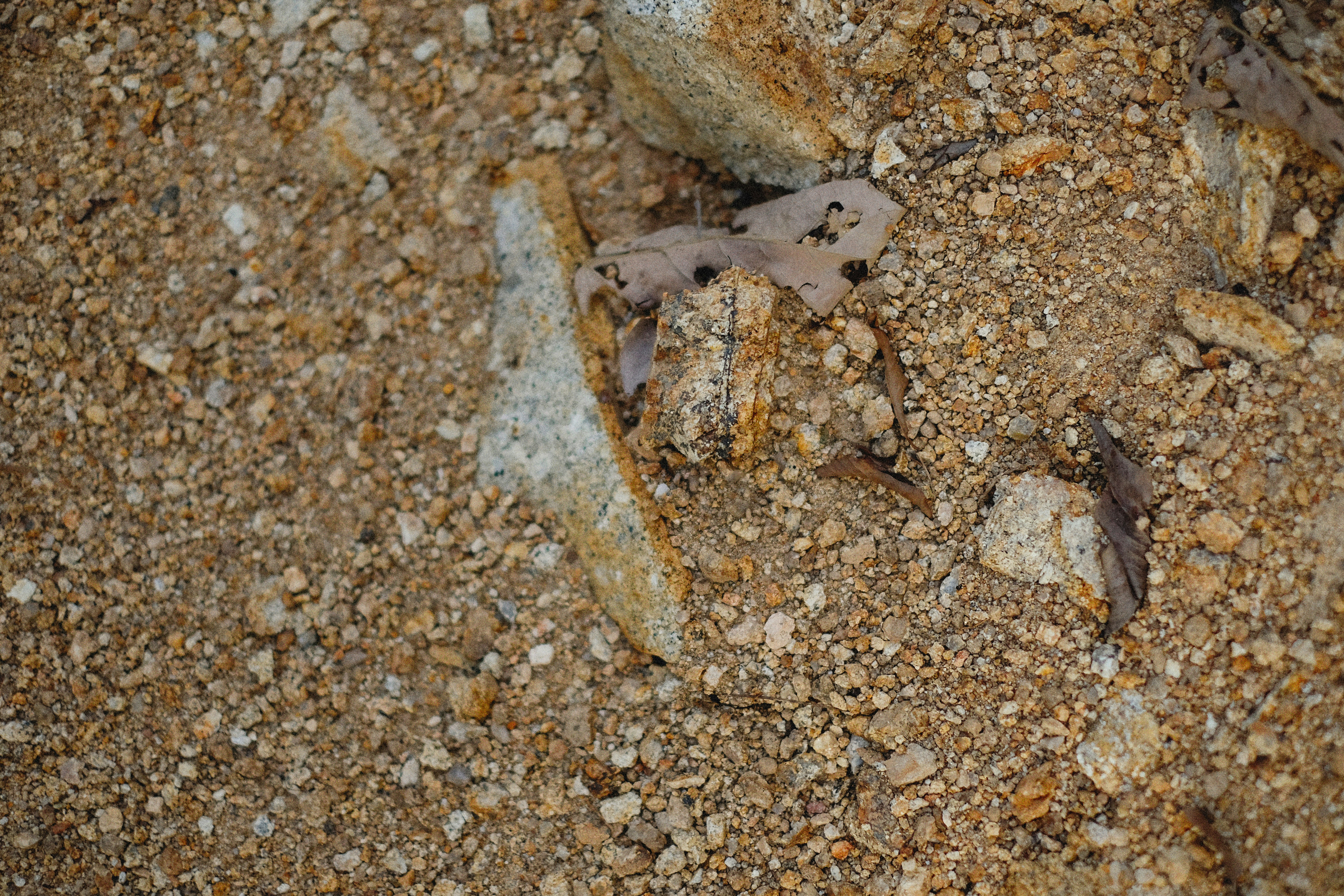 Close-up of sandy ground with scattered rocks and dried leaves, showcasing the intricate textures of nature.