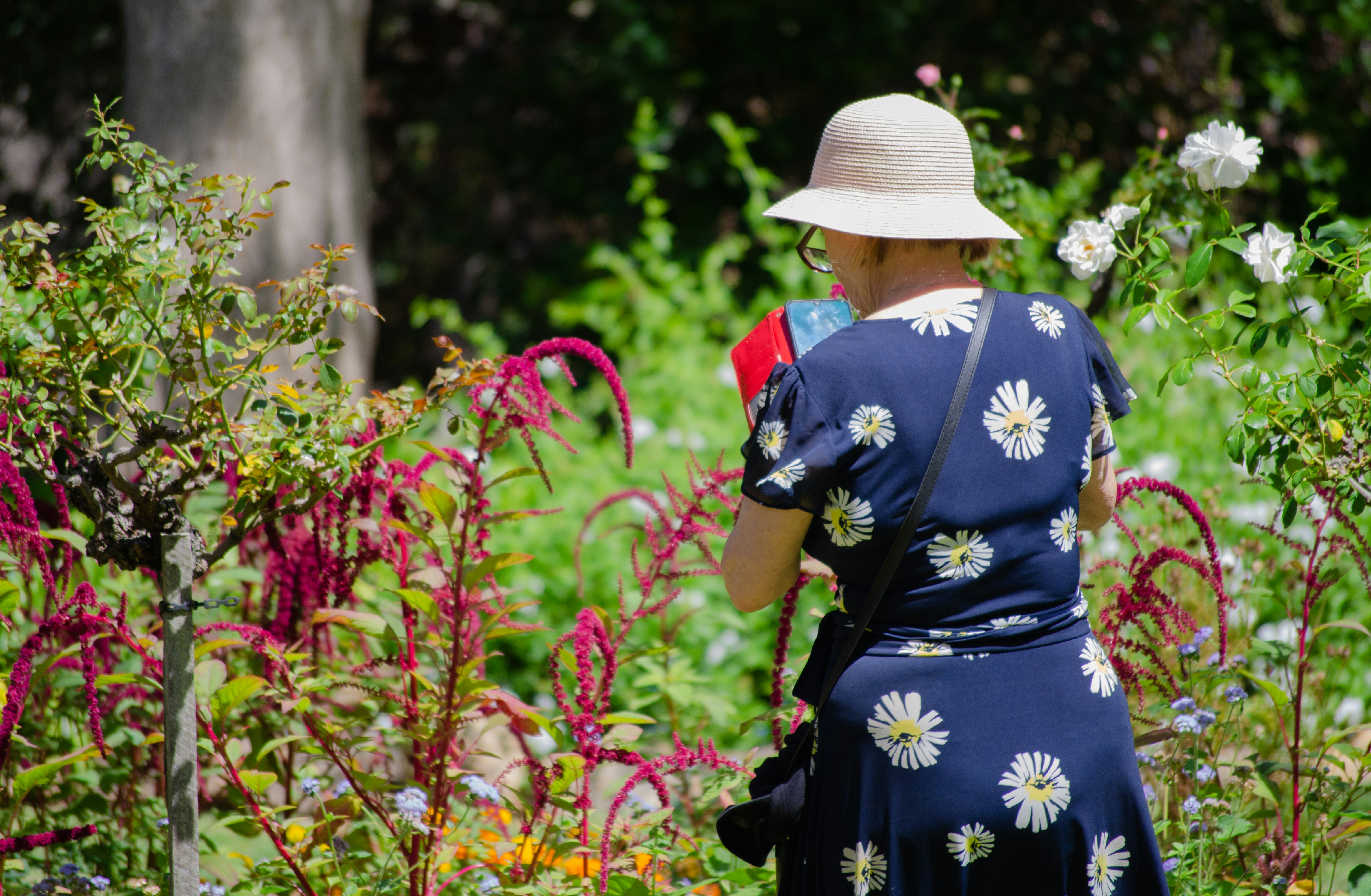 Daisy-Print Reverie: A Gardener's Quiet Portrait in Navy and White