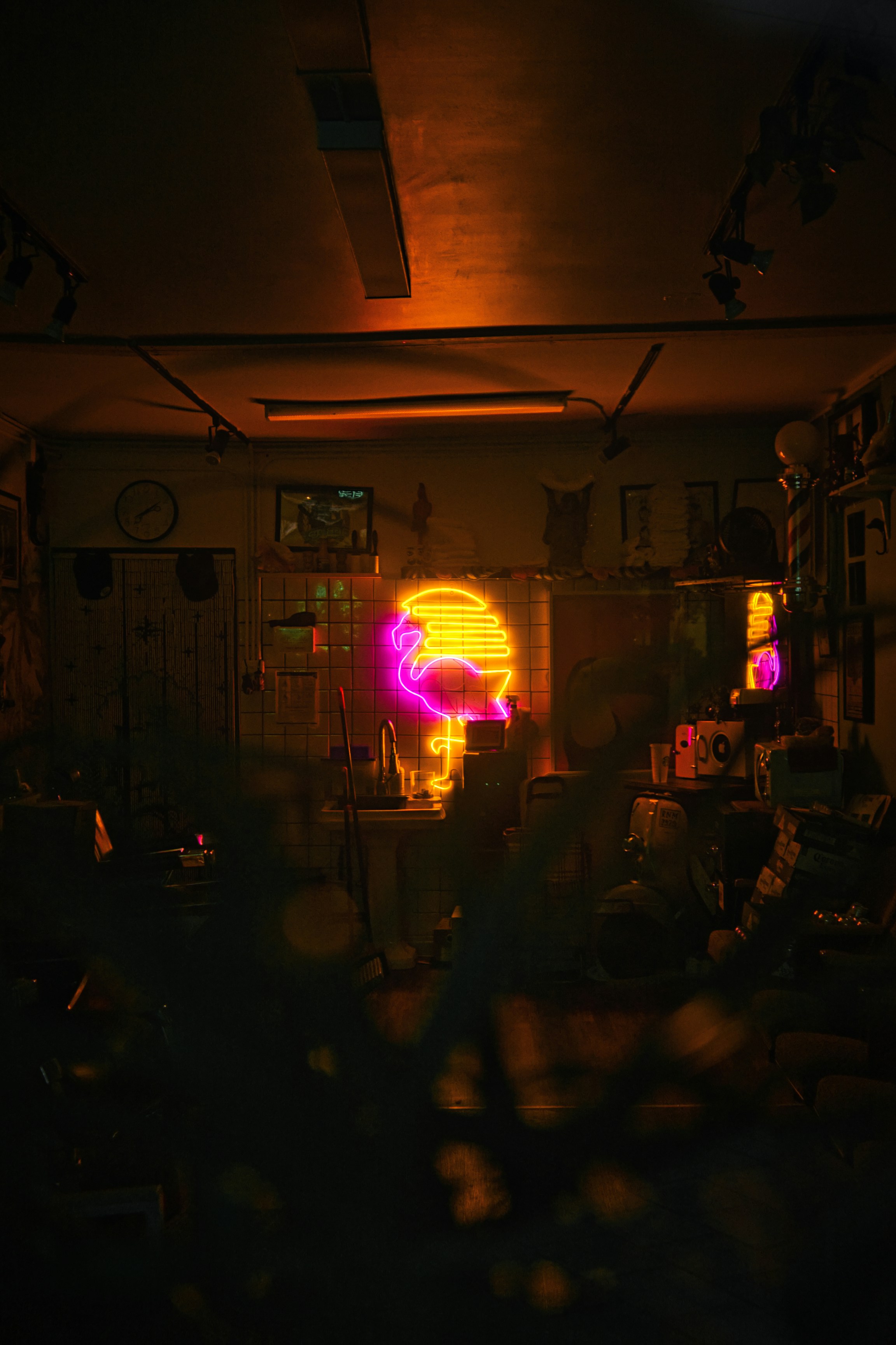 Neon Room Pictures | Download Free Images on Unsplash