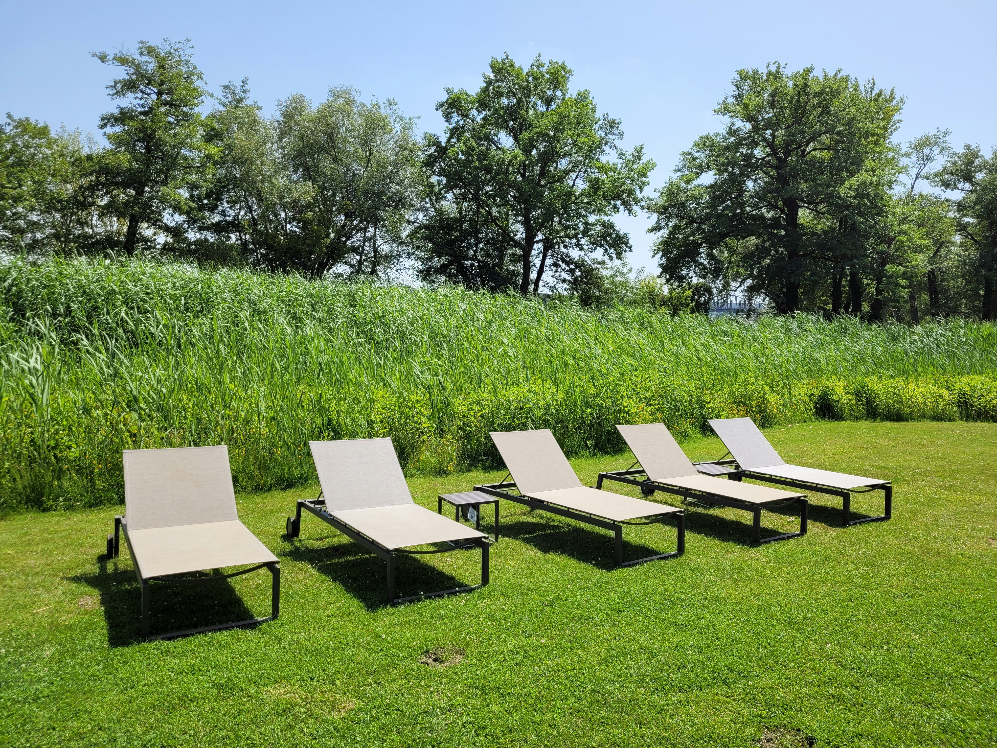 A row of modern lounge chairs positioned on a lush green lawn, framed by tall grasses and trees under a clear blue sky.