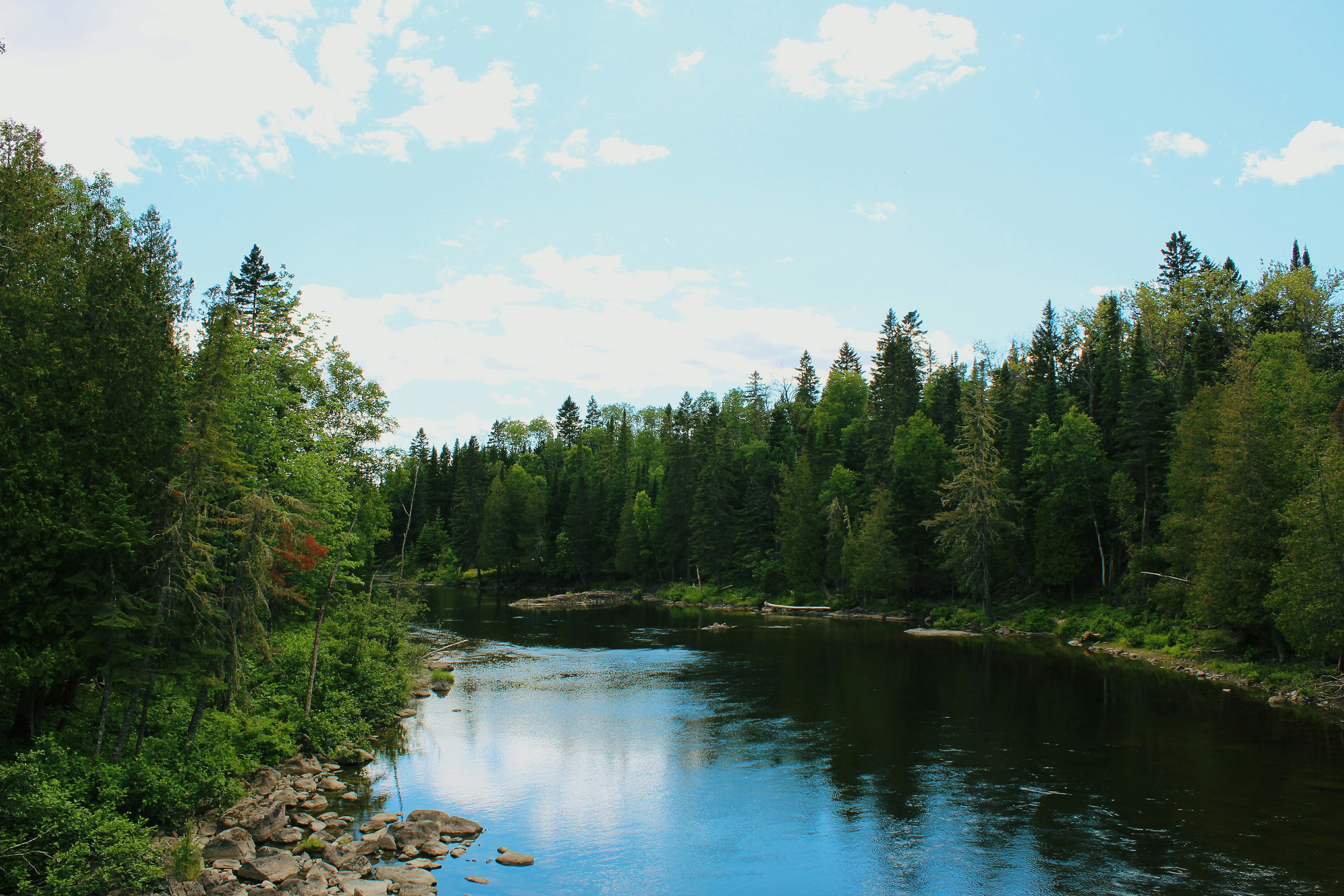 A river with trees on the side photo – Free Saint-juste-du-lac Image on ...
