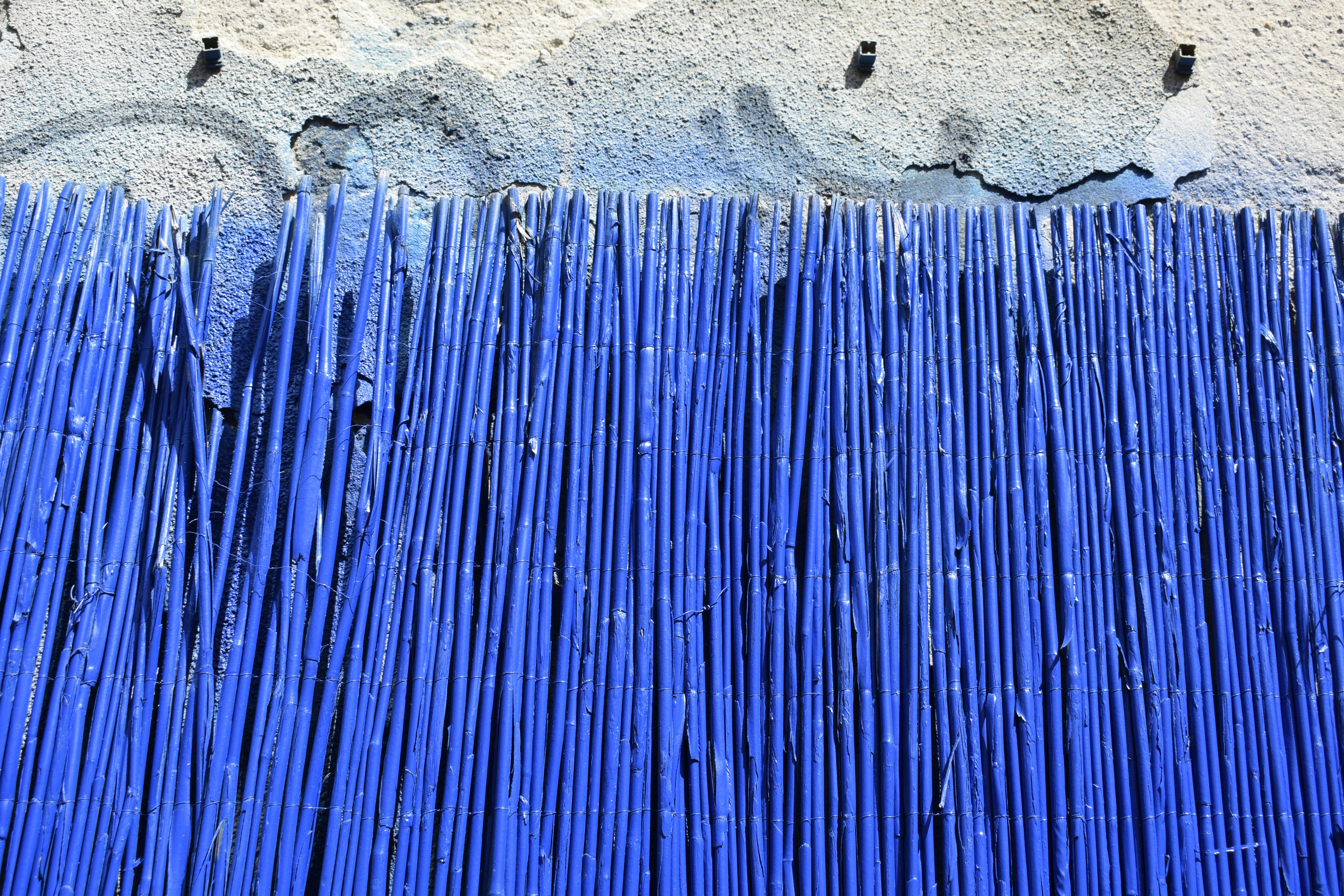 Foto Un grupo de personas vestidas de azul – Imagen gratis en Unsplash