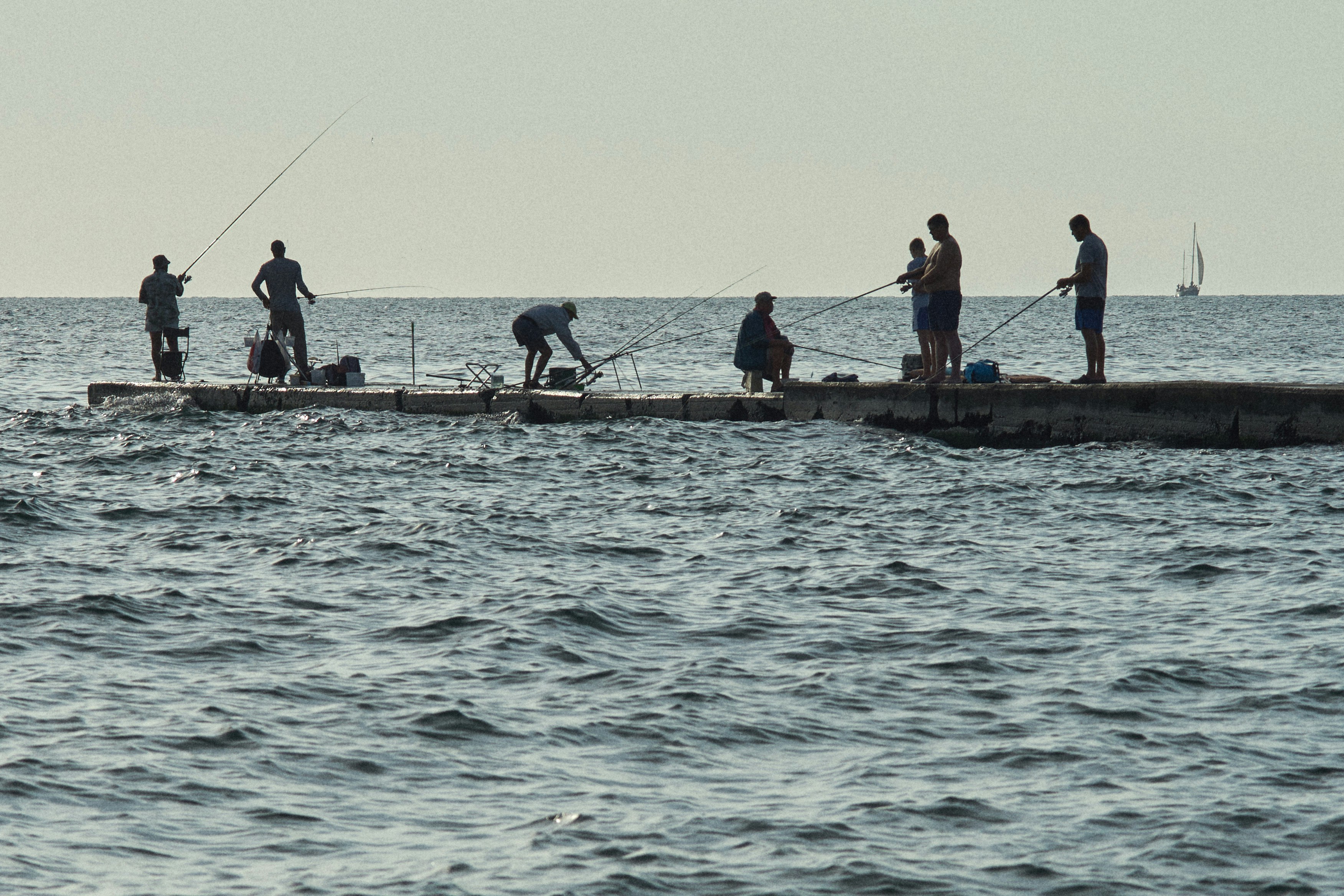 Foto Un grupo de personas pescando – Imagen Pescar gratis en Unsplash