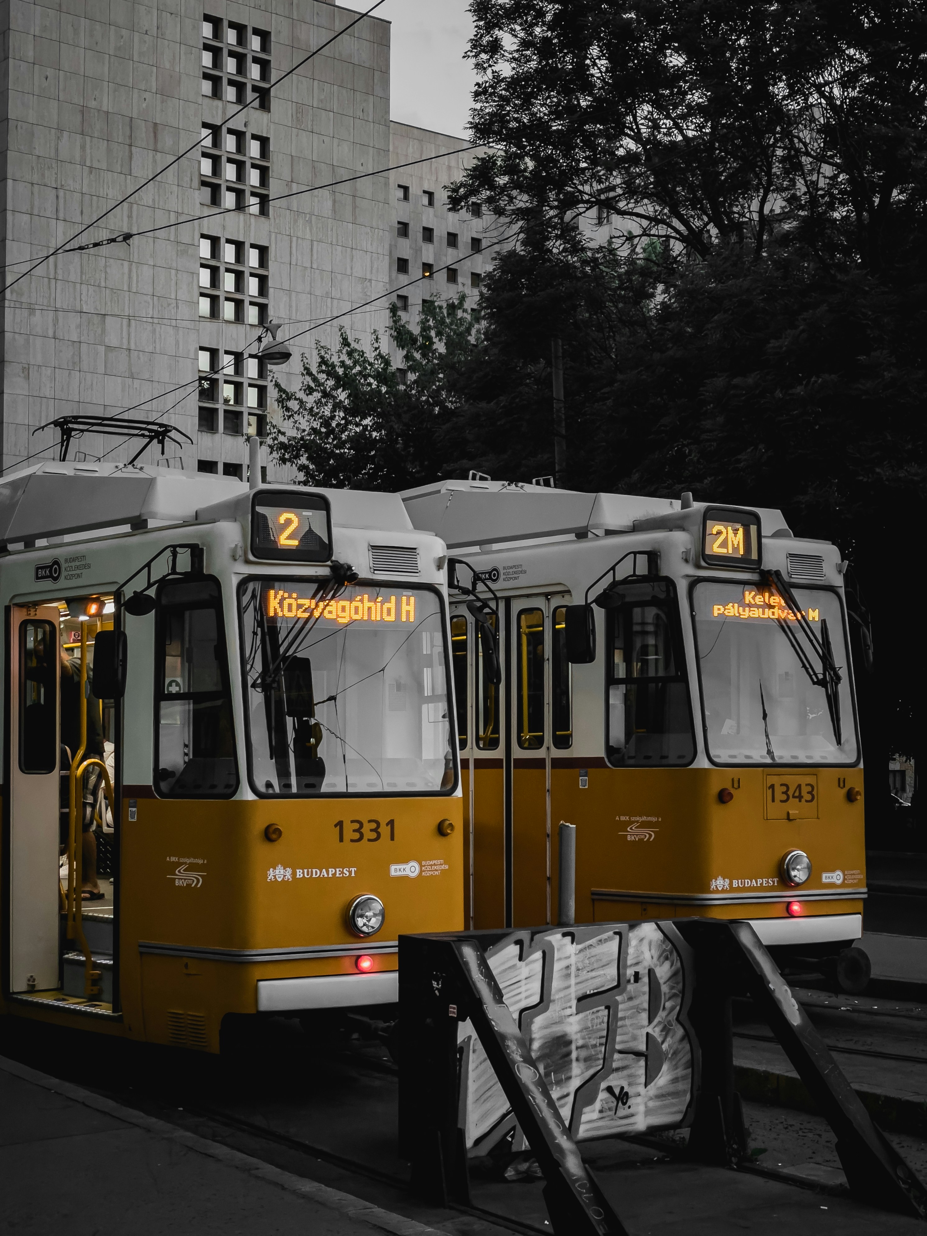 a couple of trains on tracks