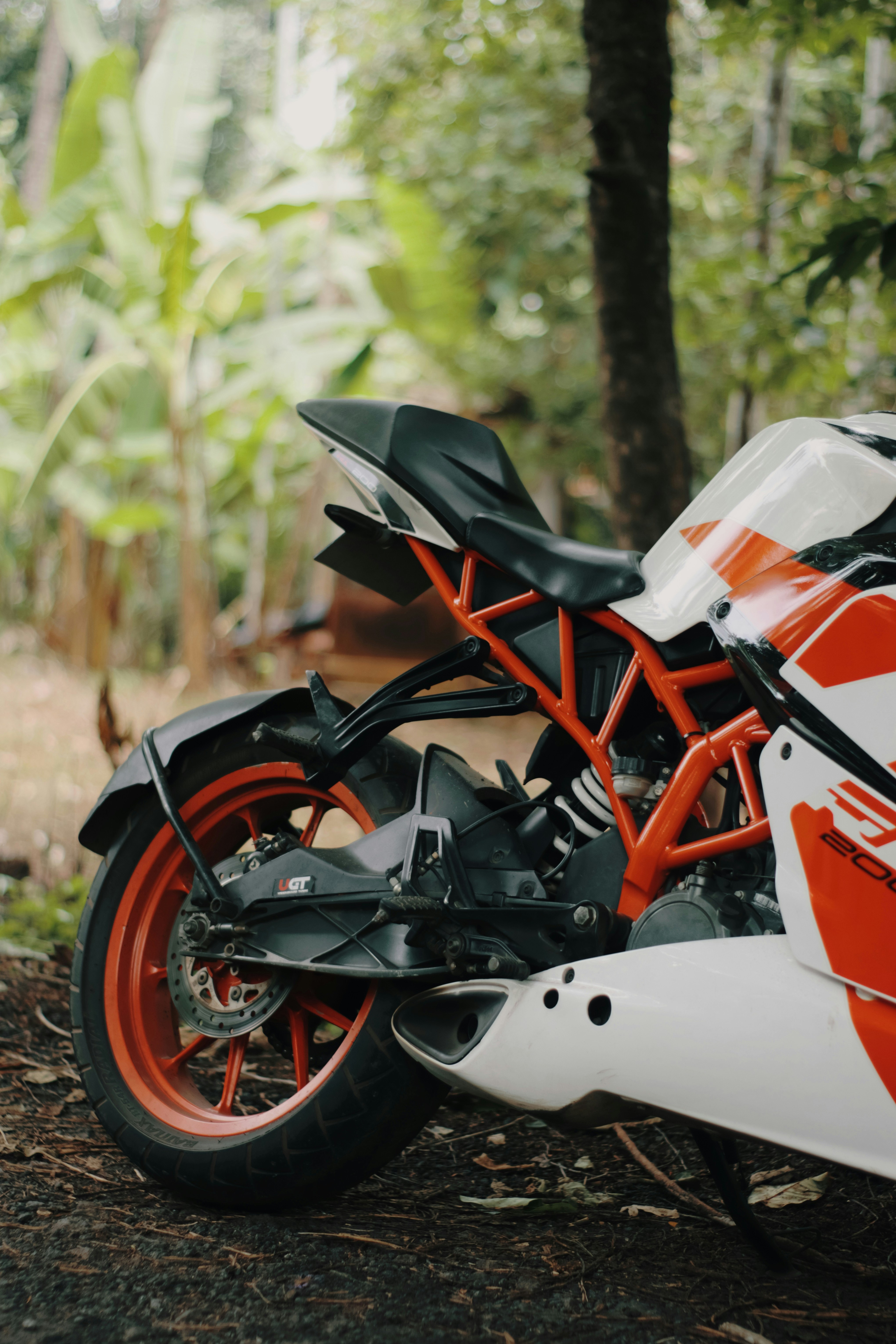 A motorcycle parked in the woods photo – Free Bike nature Image on Unsplash