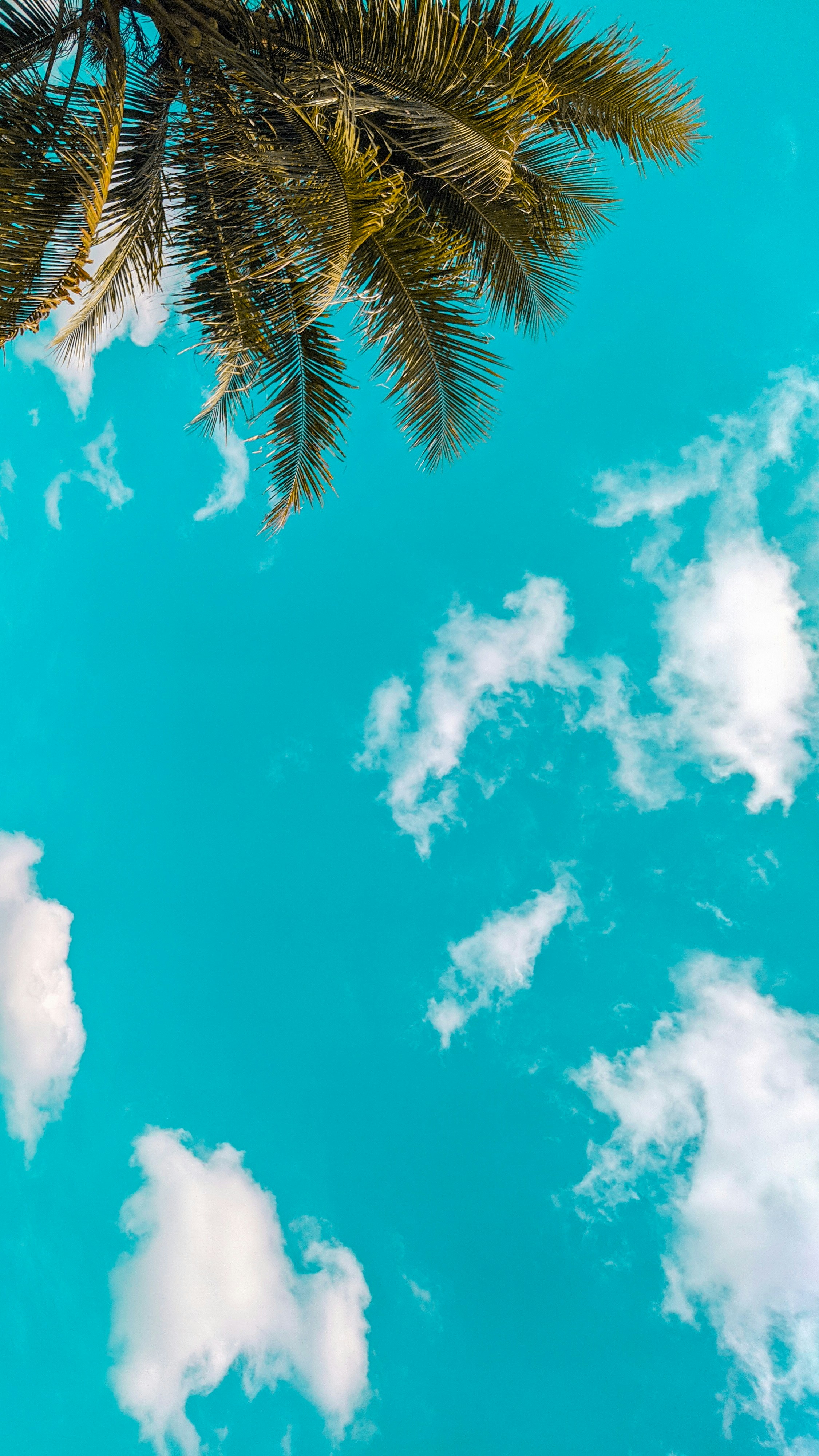 Photo by Wrandriyan __ with Xiaomi Redmi Note 8