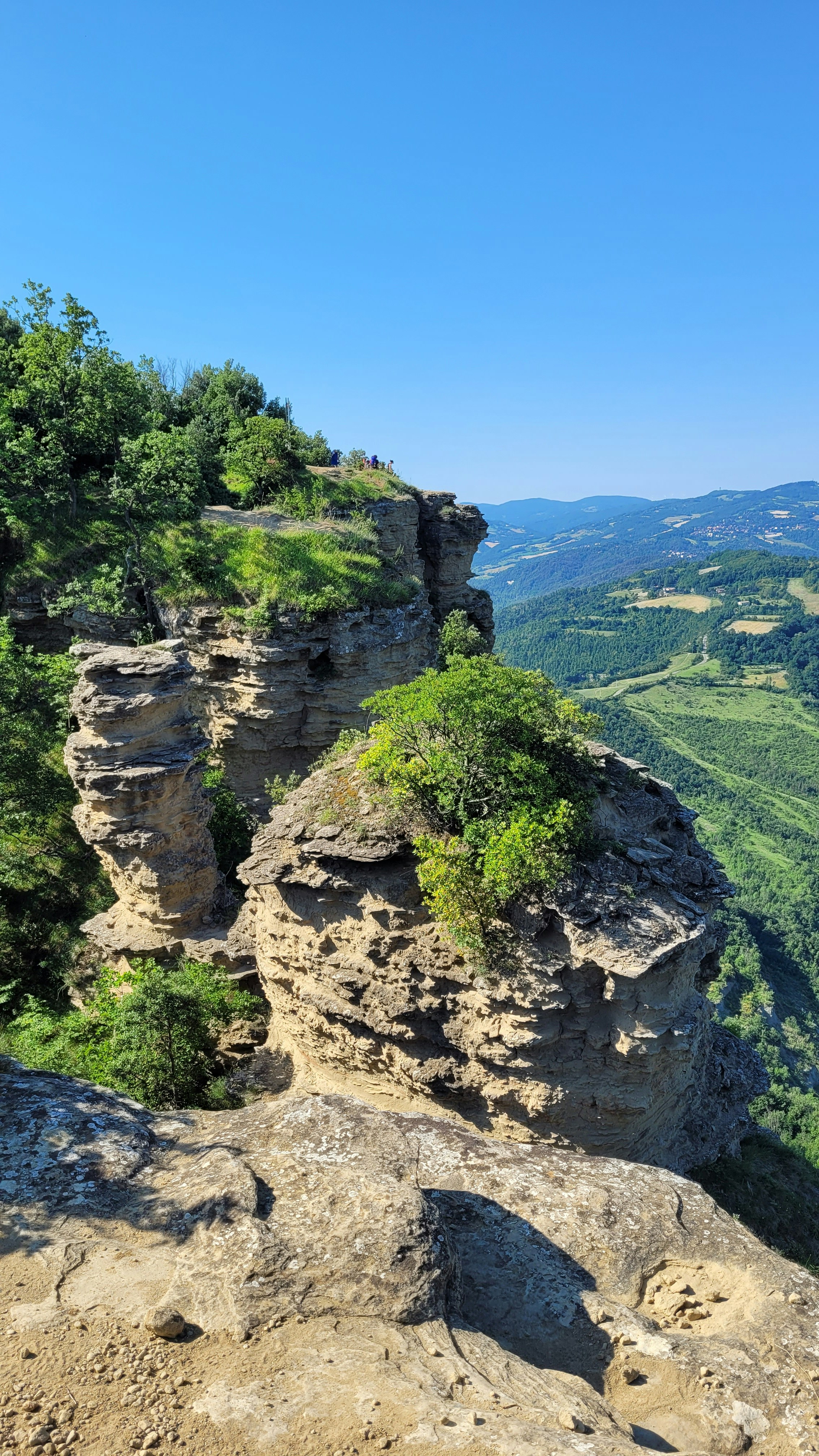 A large rock cliff with trees on it photo – Free Land Image on Unsplash