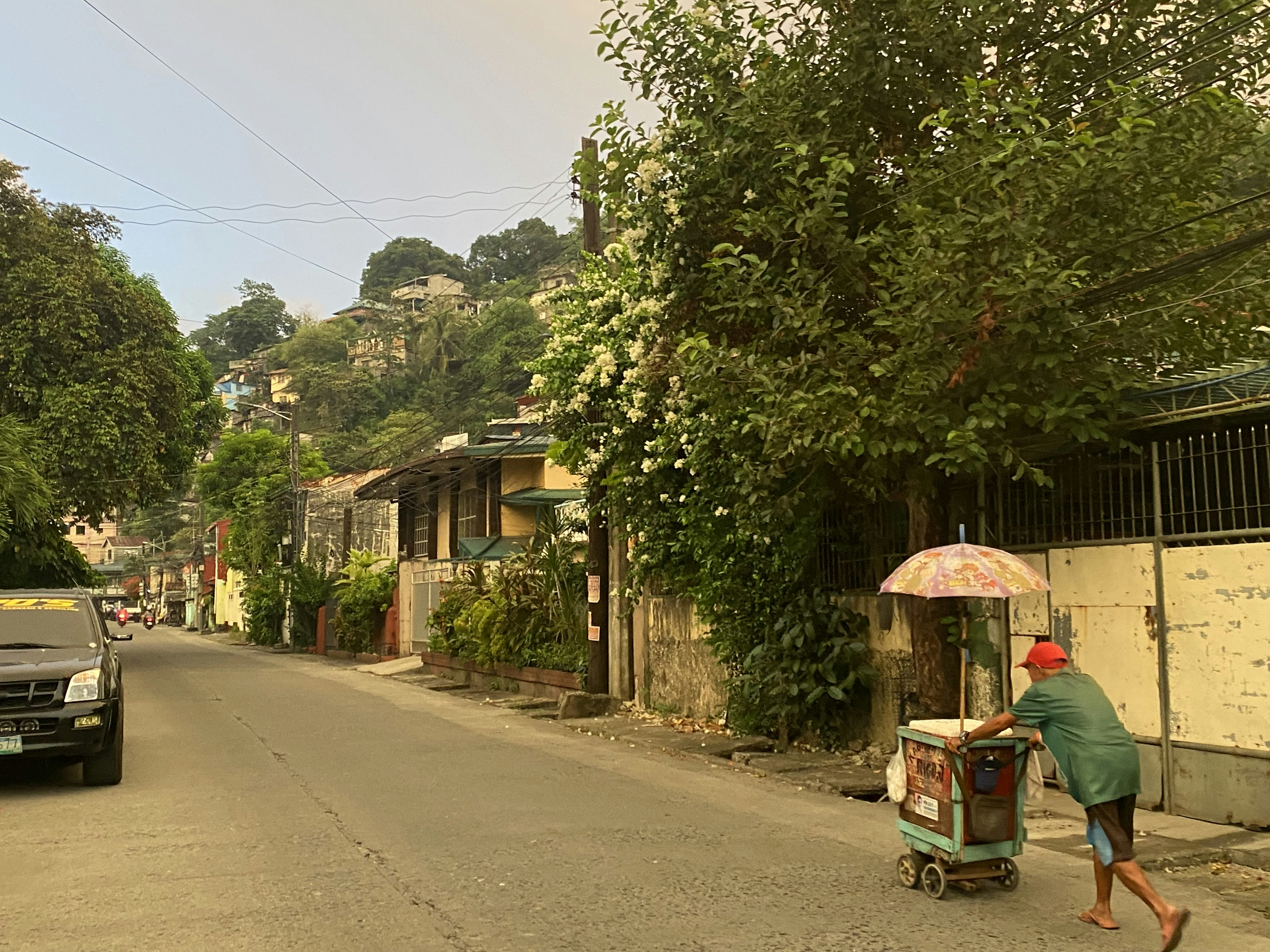 Person pushing a cart with an umbrella down a tree-lined street in a residential area.