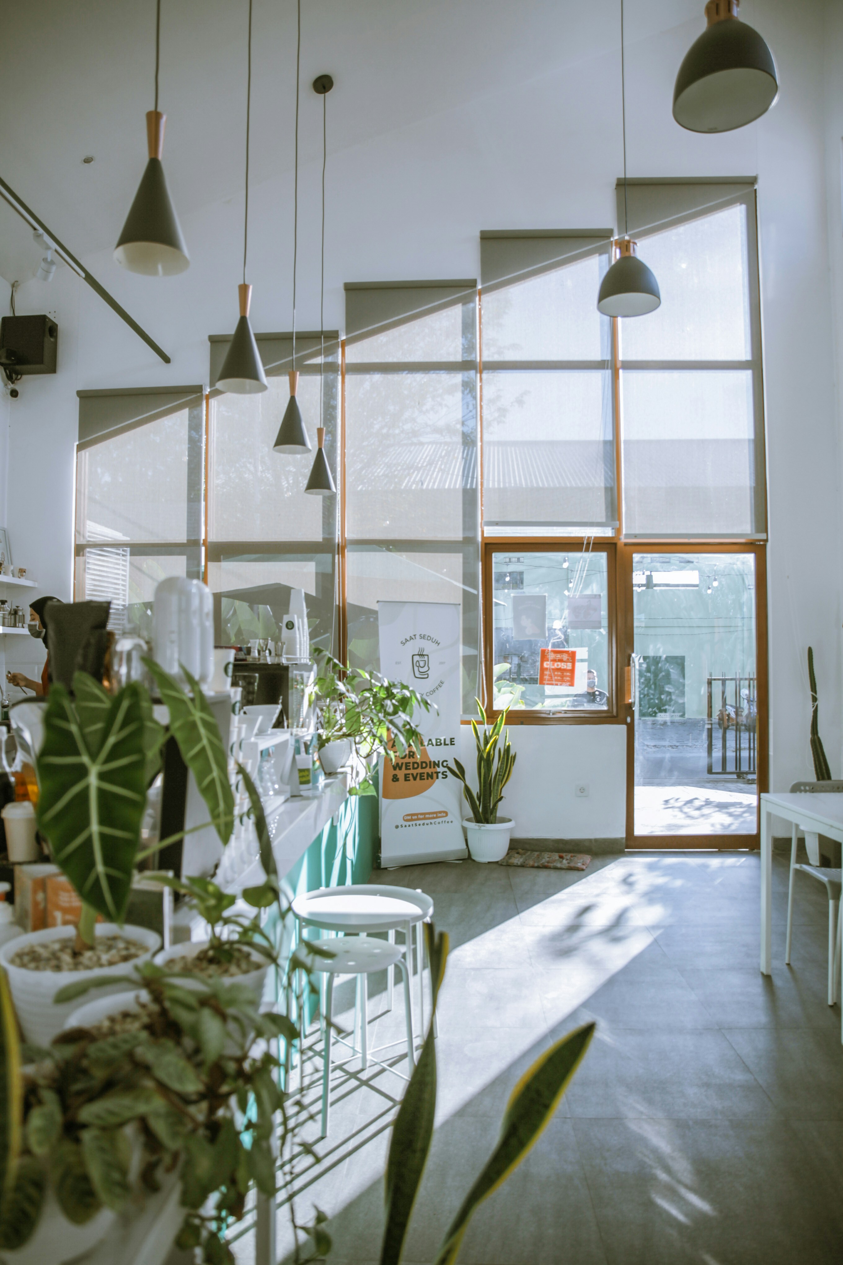 Bright café interior featuring modern lighting, lush plants, and a welcoming atmosphere. The large windows allow sunlight to illuminate the space.