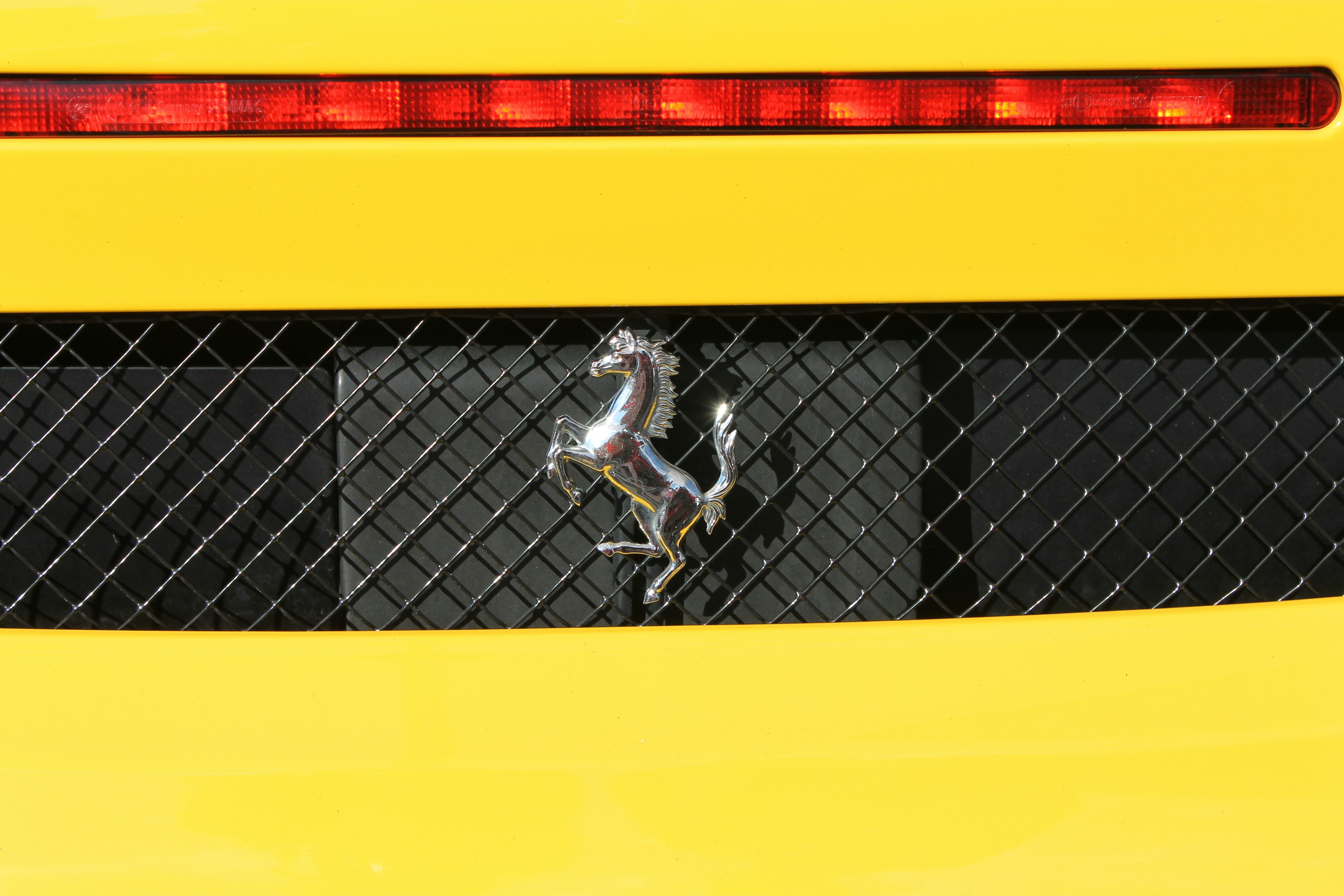 a spider in a web