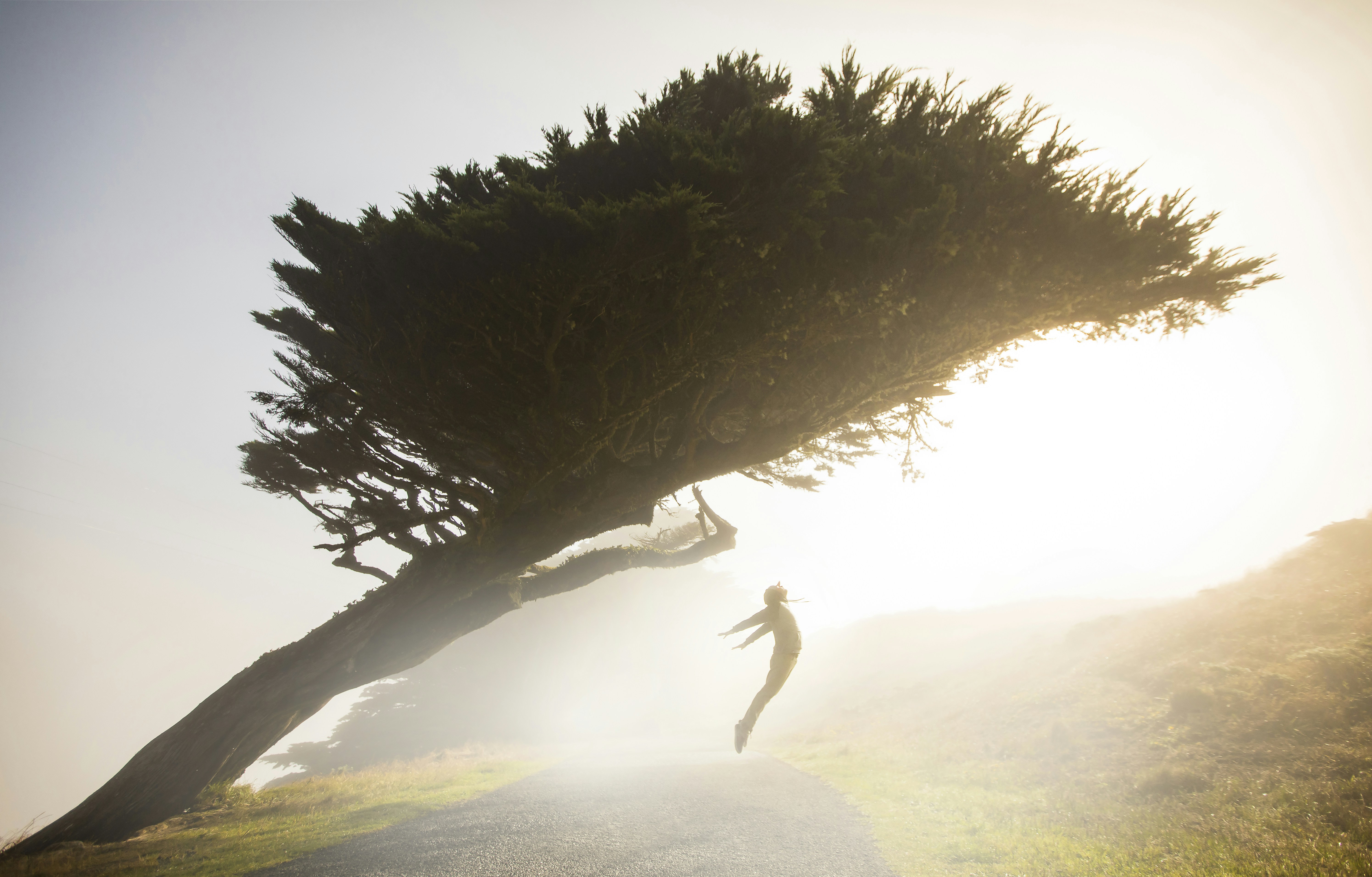 A person running on a path under a tree photo – Free Person Image on ...