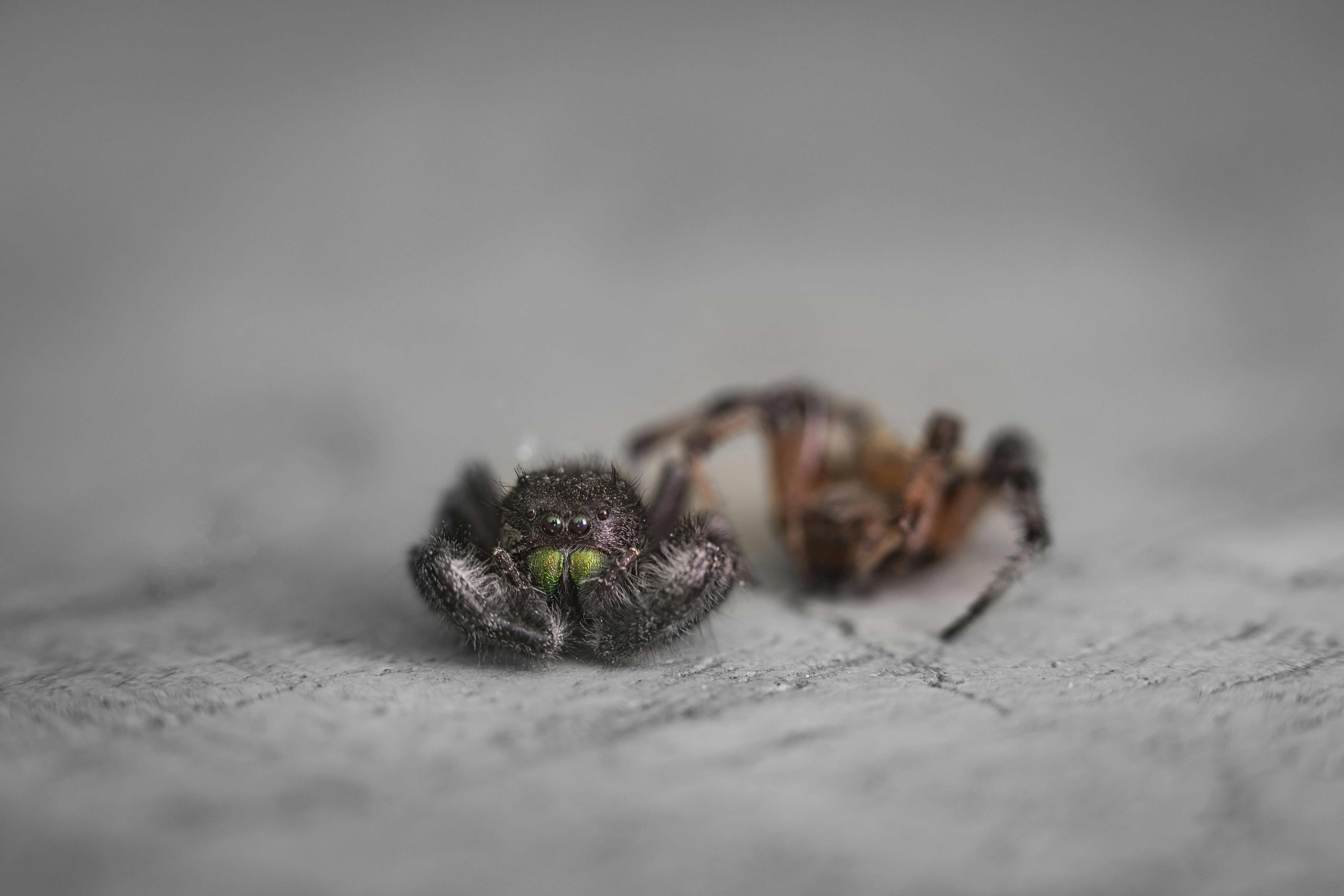 Photo by Leo_Visions with Canon EOS 5D Mark IV