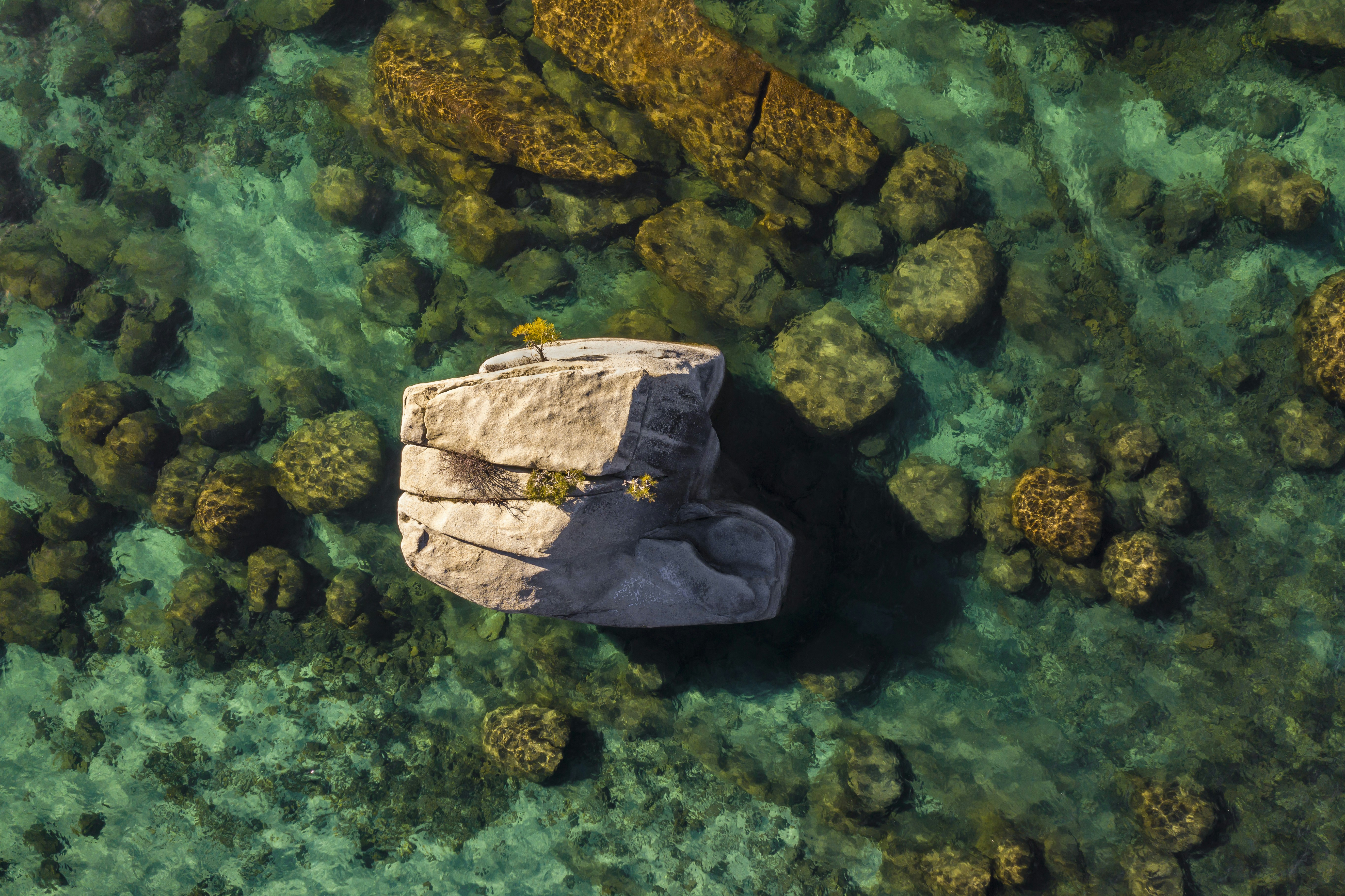 Emerald Tide, Lone Rock: An Aerial Portrait of a Quiet Reef