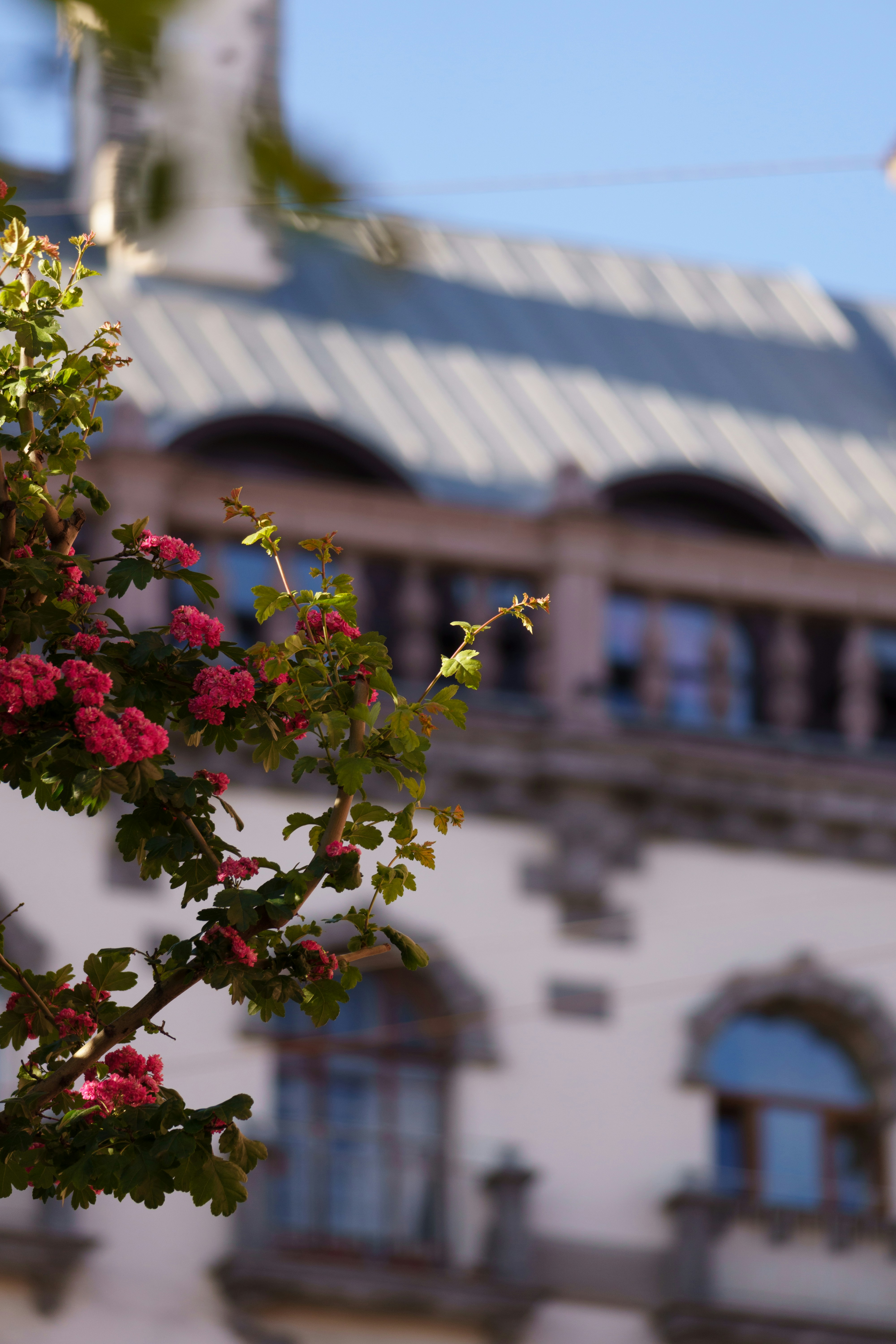 Un bâtiment avec un grand toit photo – Photo Bâtiments Gratuite sur ...