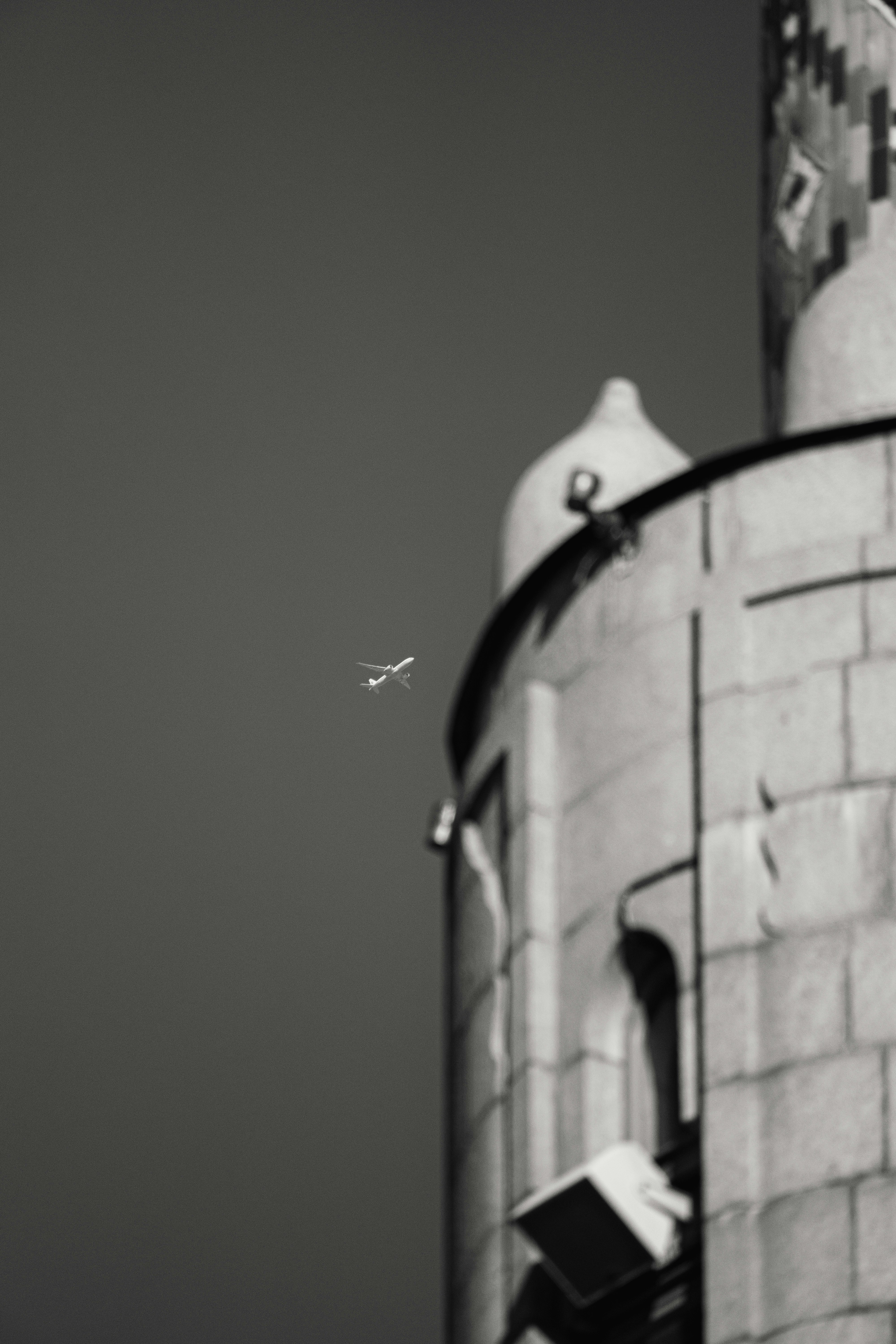 a bird flying over a building