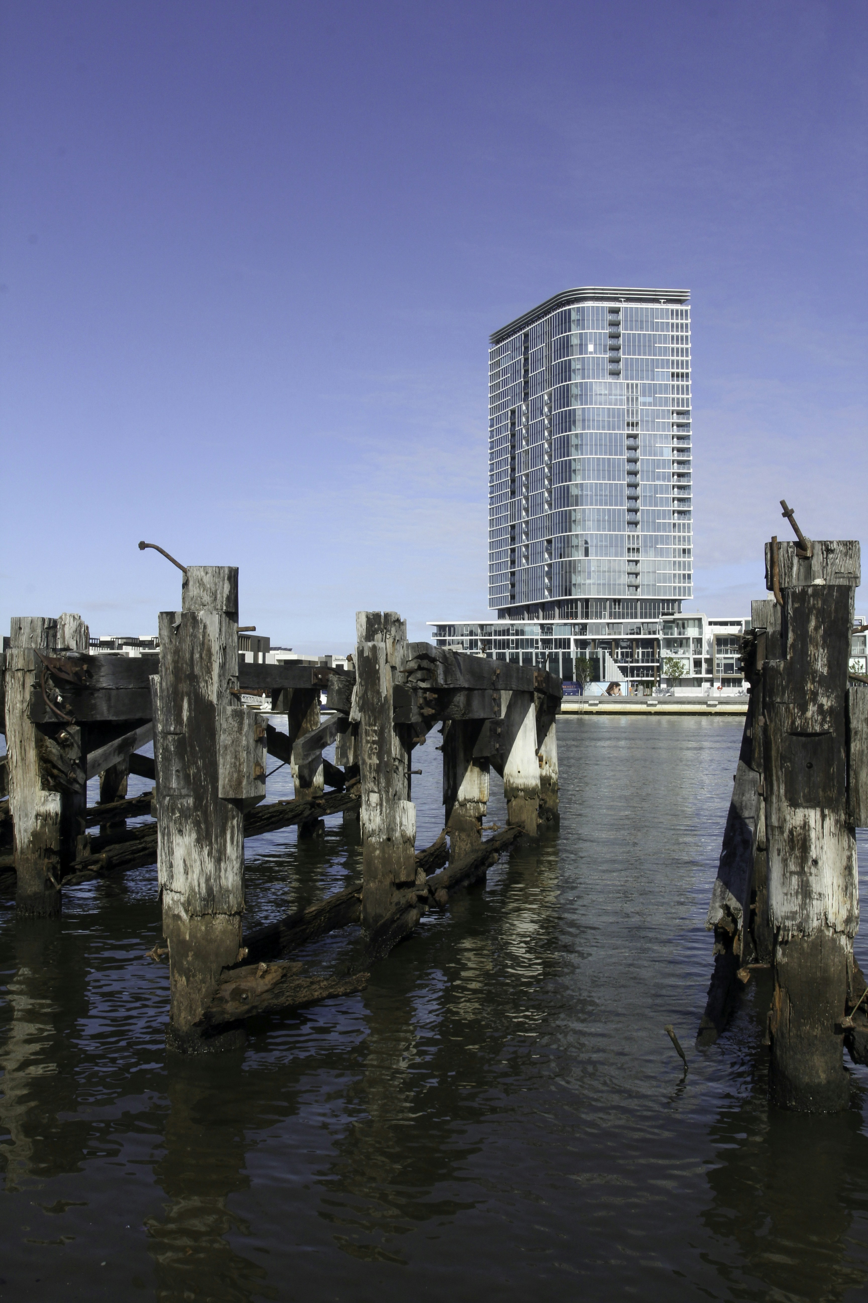 Taken from kayak on Yarra River looking across to the south bank.
