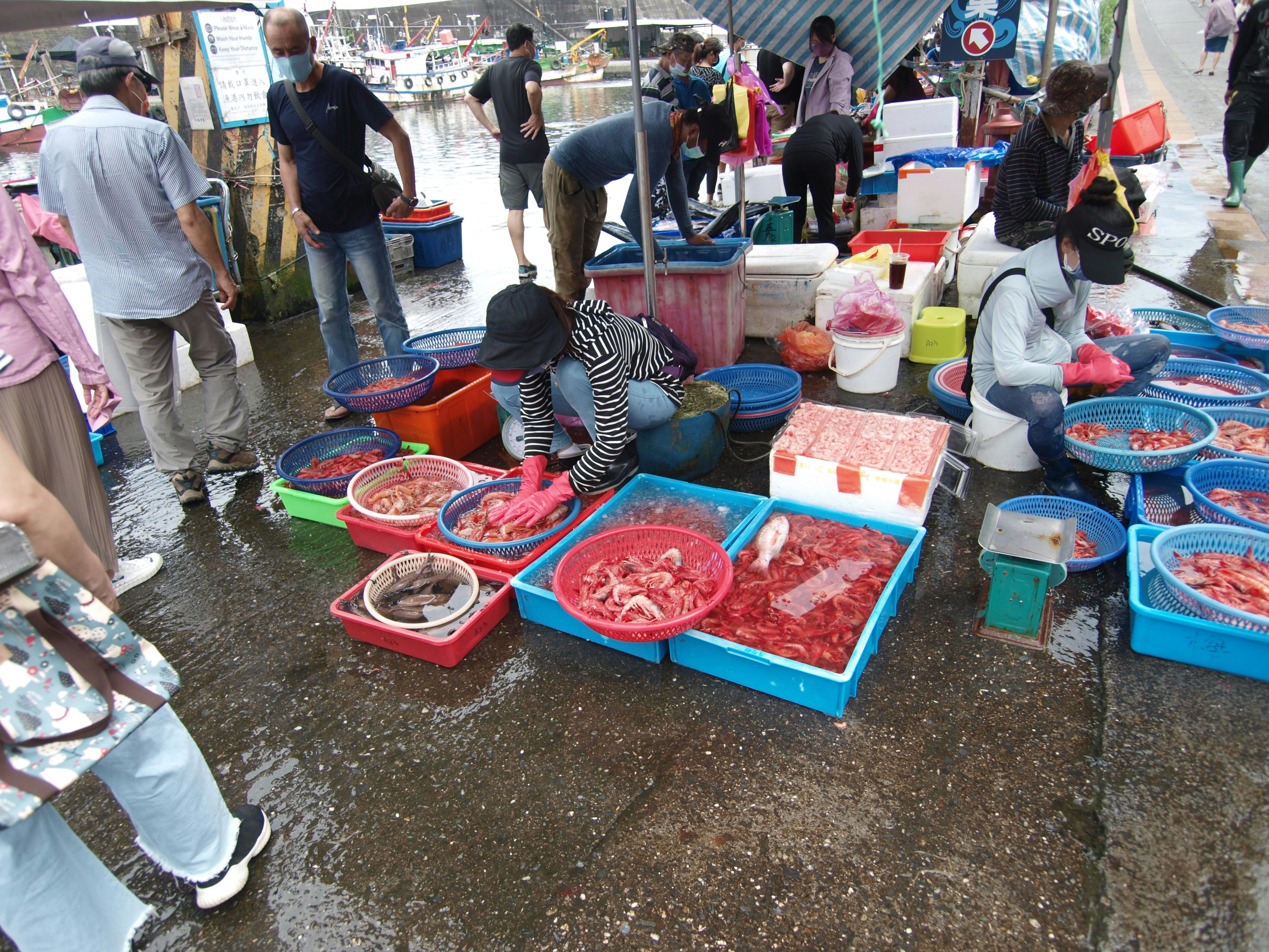 Vibrant seafood market scene with vendors sorting fresh catches in colorful containers under a canopy. People bustle around, creating a lively atmosphere.