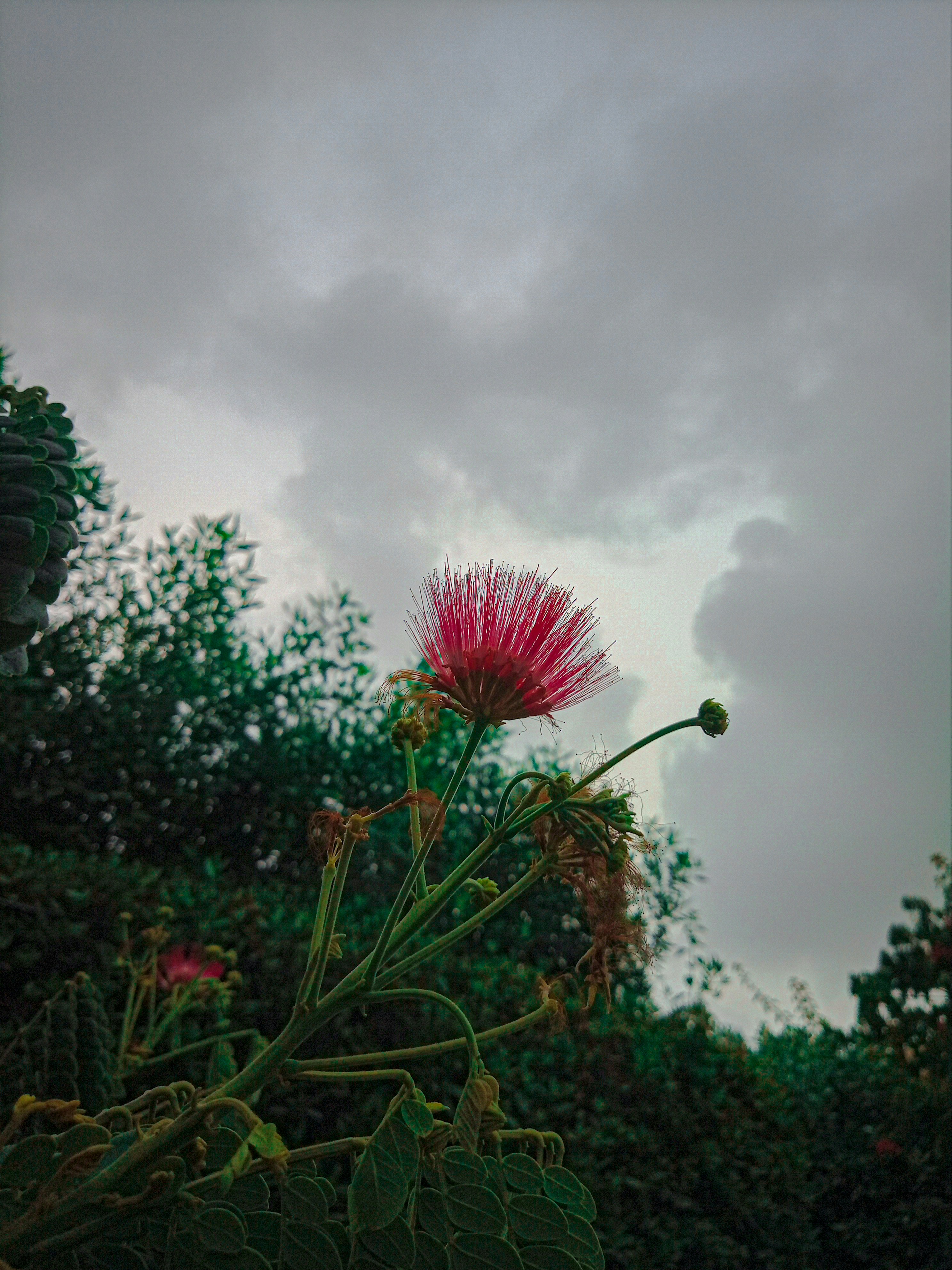 Crimson Cone in a Clouded Sky