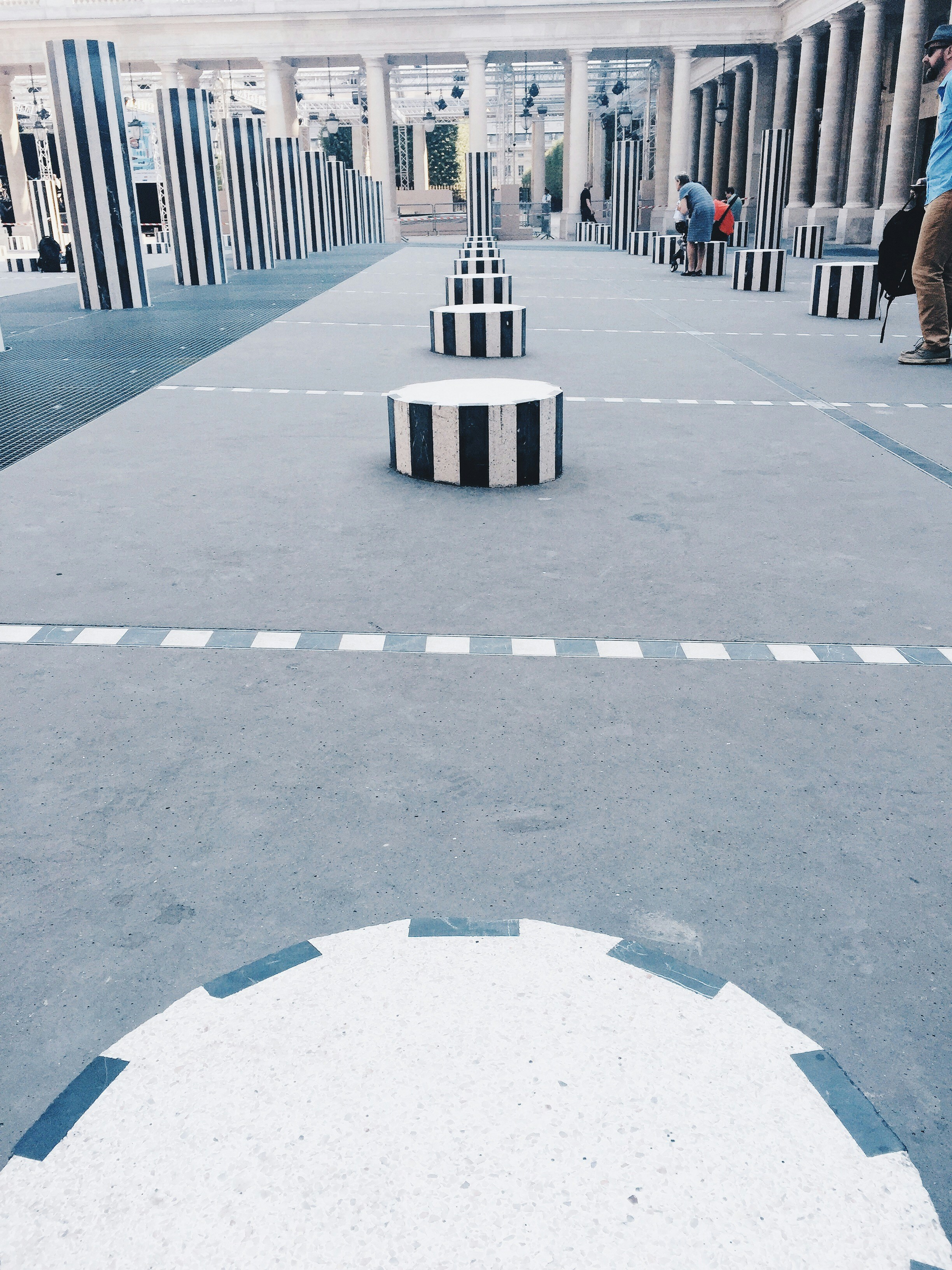 Photo by Kim Stewart with Apple iPhone 6