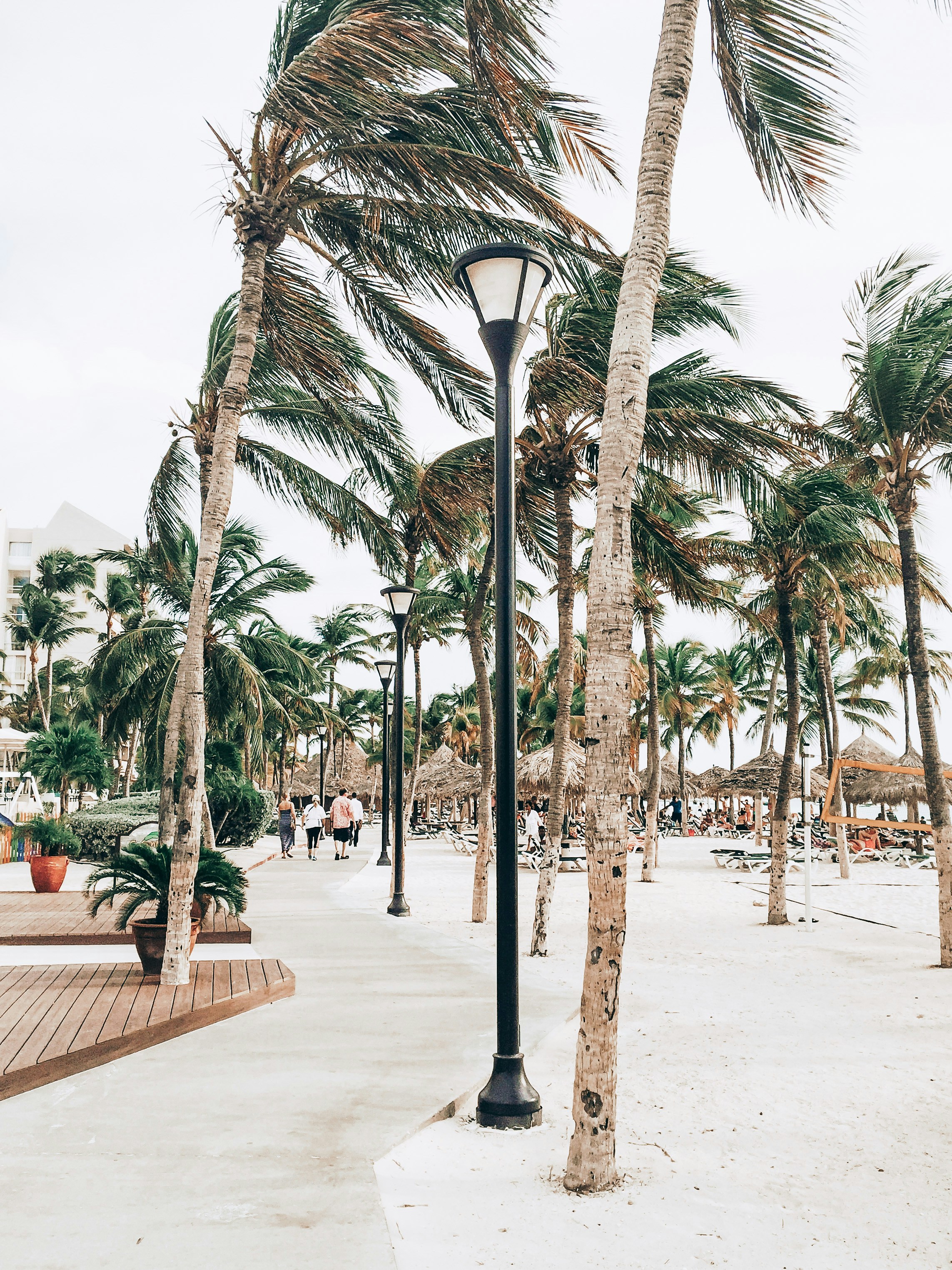 Central Lanterns and Palm Alley: A Beachfront Promenade Framed by Trees