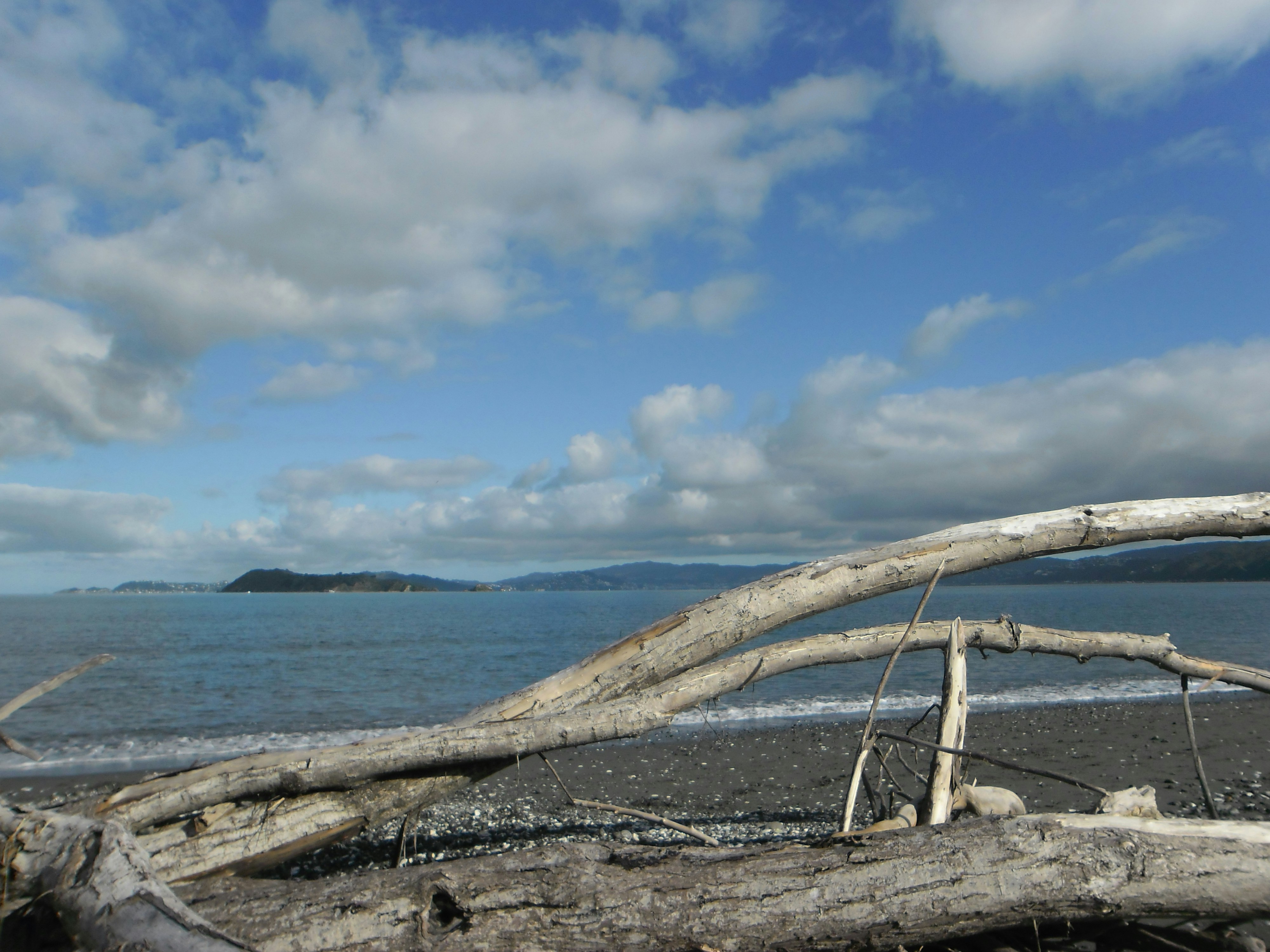 a beach with a fence and a body of water