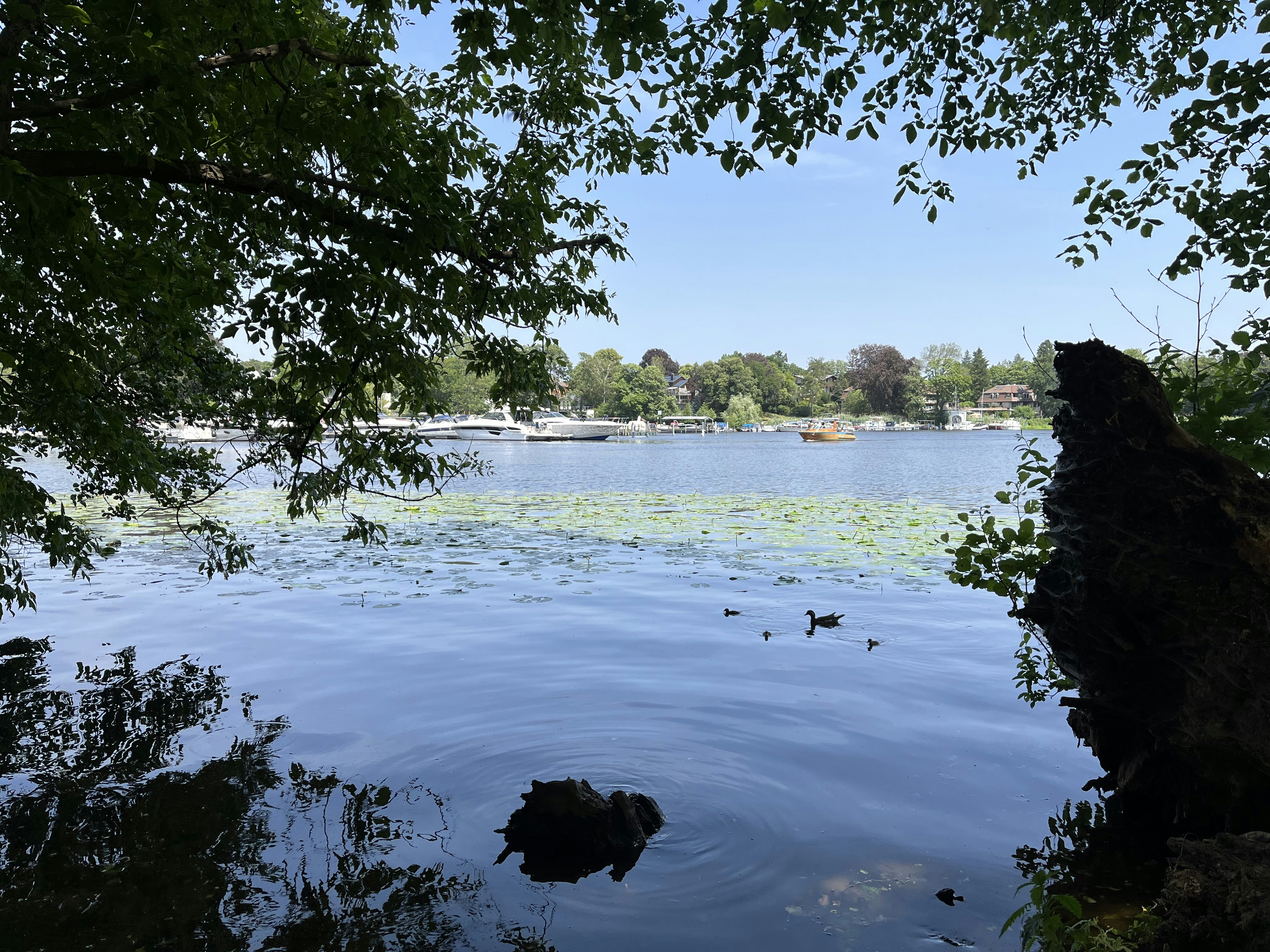 Qing Ye (@flyerwolf) | Unsplashフォトコミュニティ